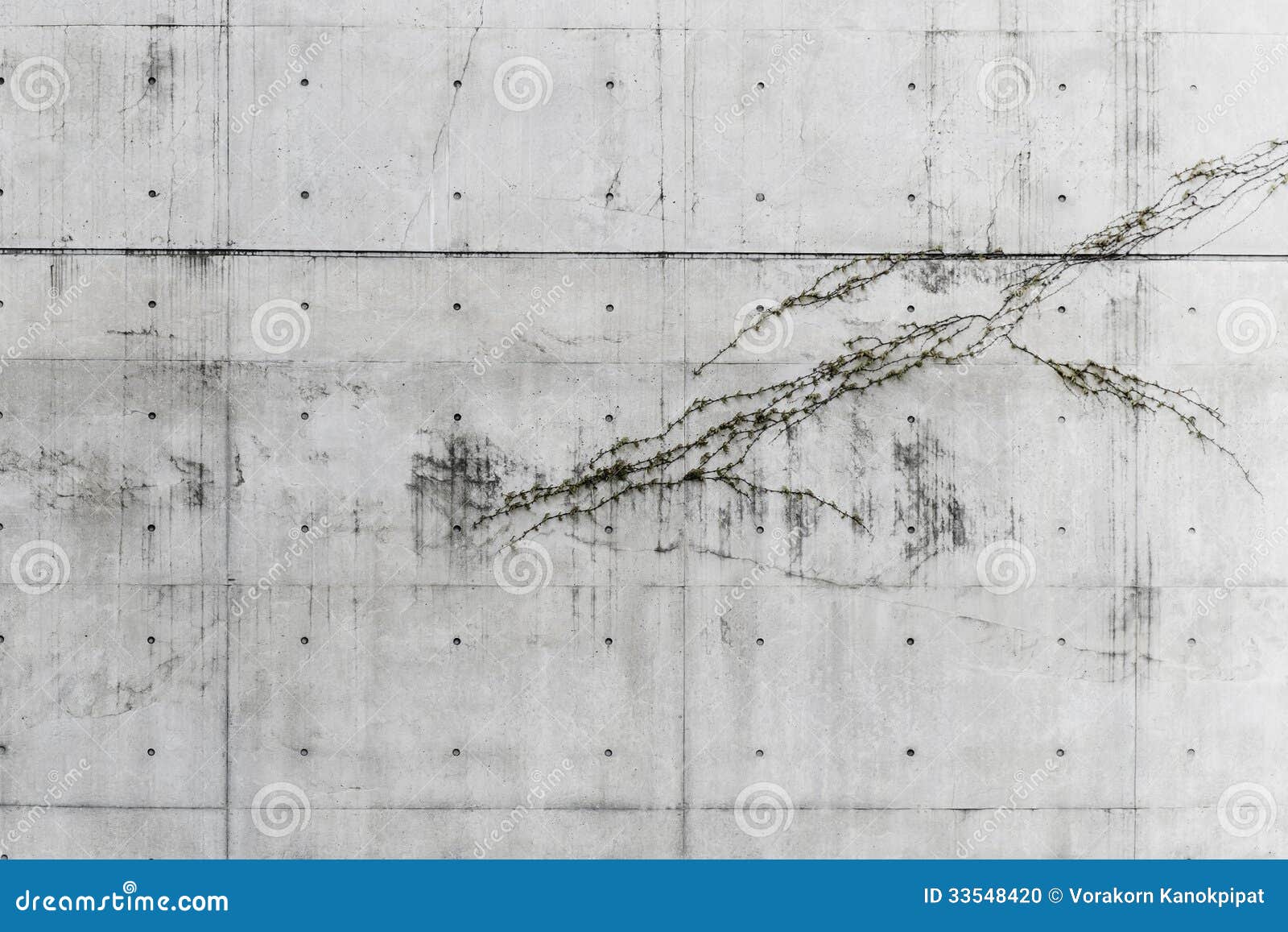 Pattern Concrete Wall with Small Plant Stock Photo - Image of structure ...