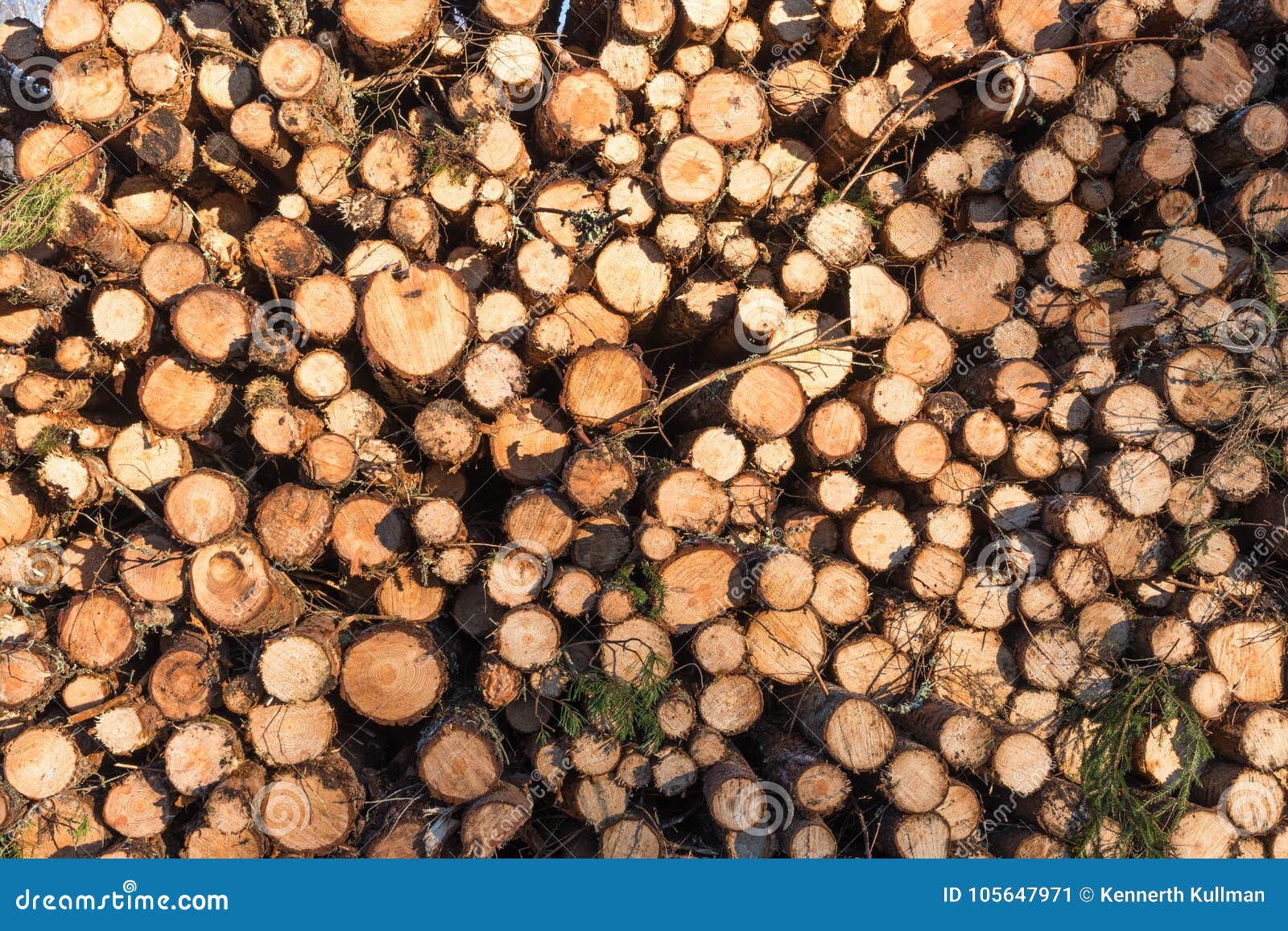 Pulpwood Stacked On The Ground Under The Cloudy Sky Royalty-Free Stock ...