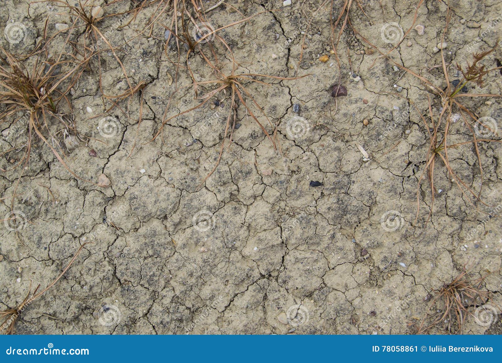 Pattern of cracked ground stock image. Image of brown - 78058861