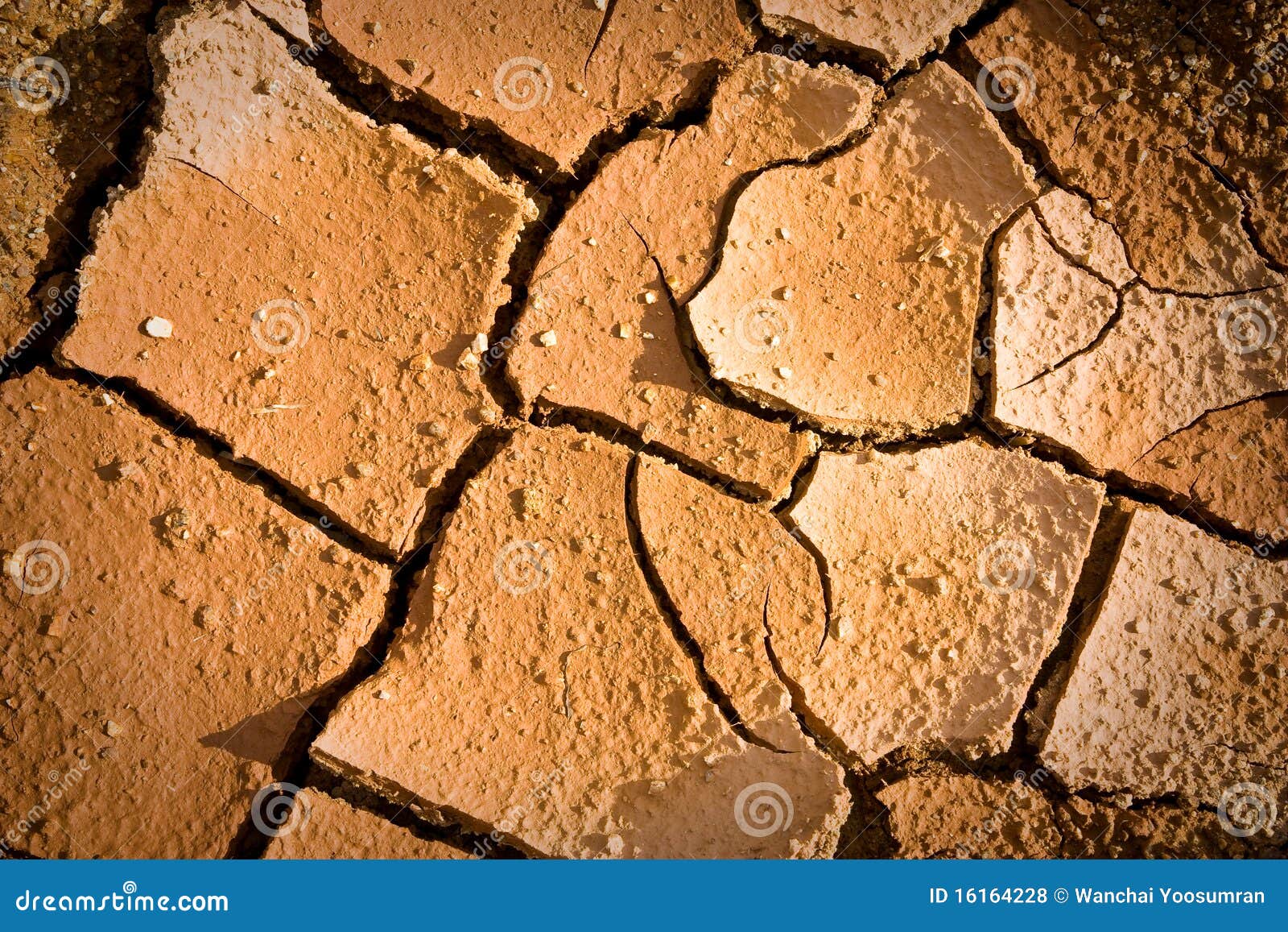 Pattern of cracked soil stock photo. Image of brown, farmland - 16164228
