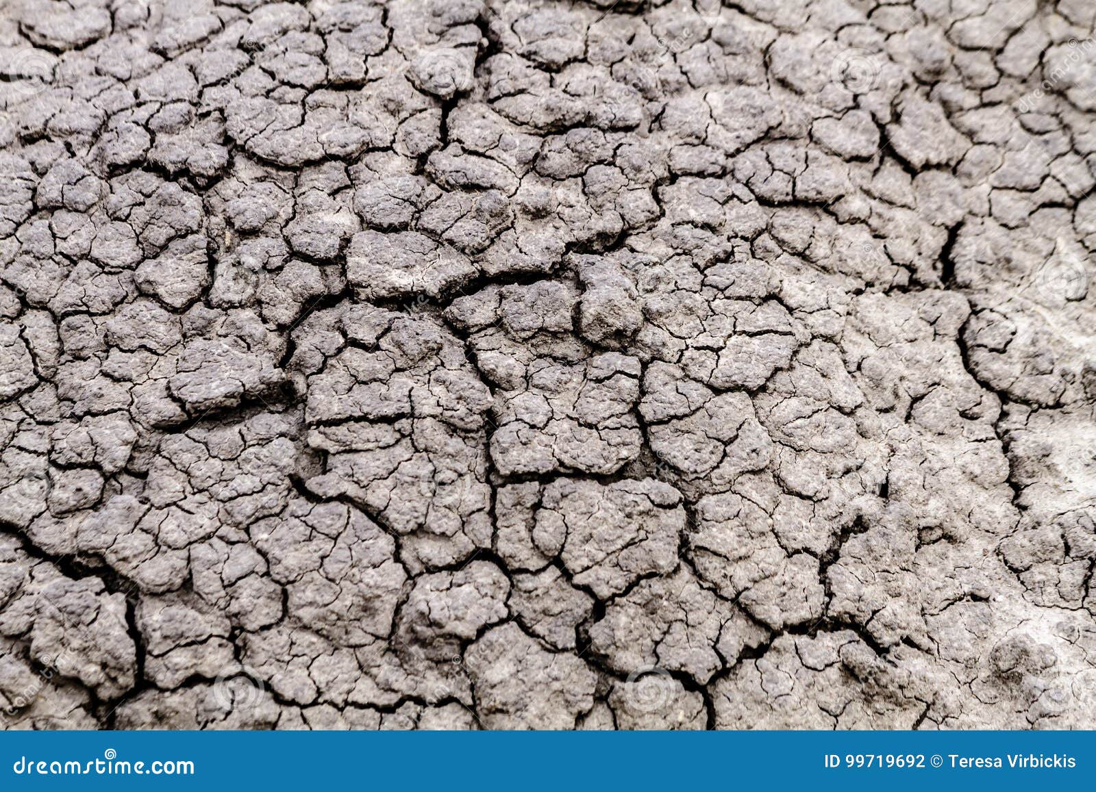 Pattern of Cracks in Dried Mud Stock Photo - Image of disaster, concept ...