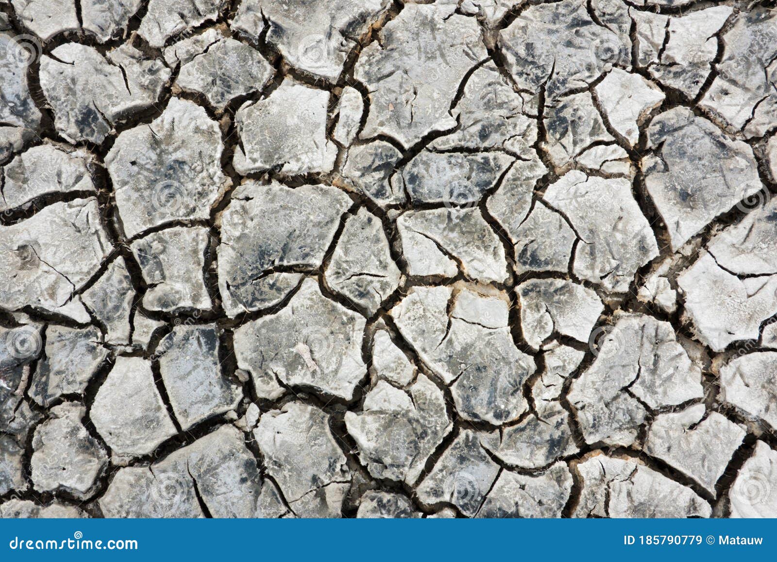 Cracked mud stock image. Image of cracked, coast, patterns - 185790779