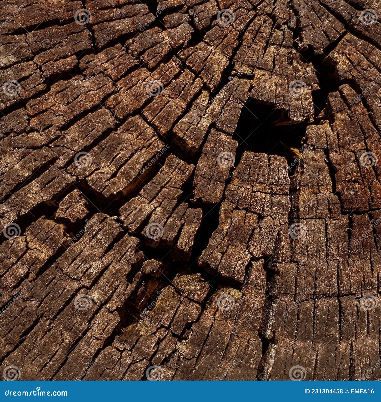 Pattern of Cracks in Dry Brown Wood Stock Photo - Image of nature ...