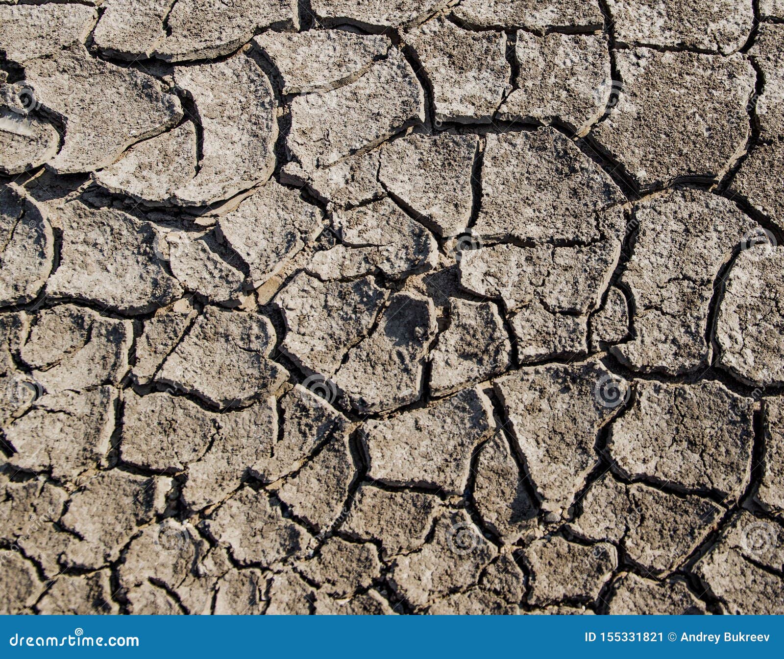 Pattern of Cracks on the Sand in the Absence of Moisture Stock Image ...