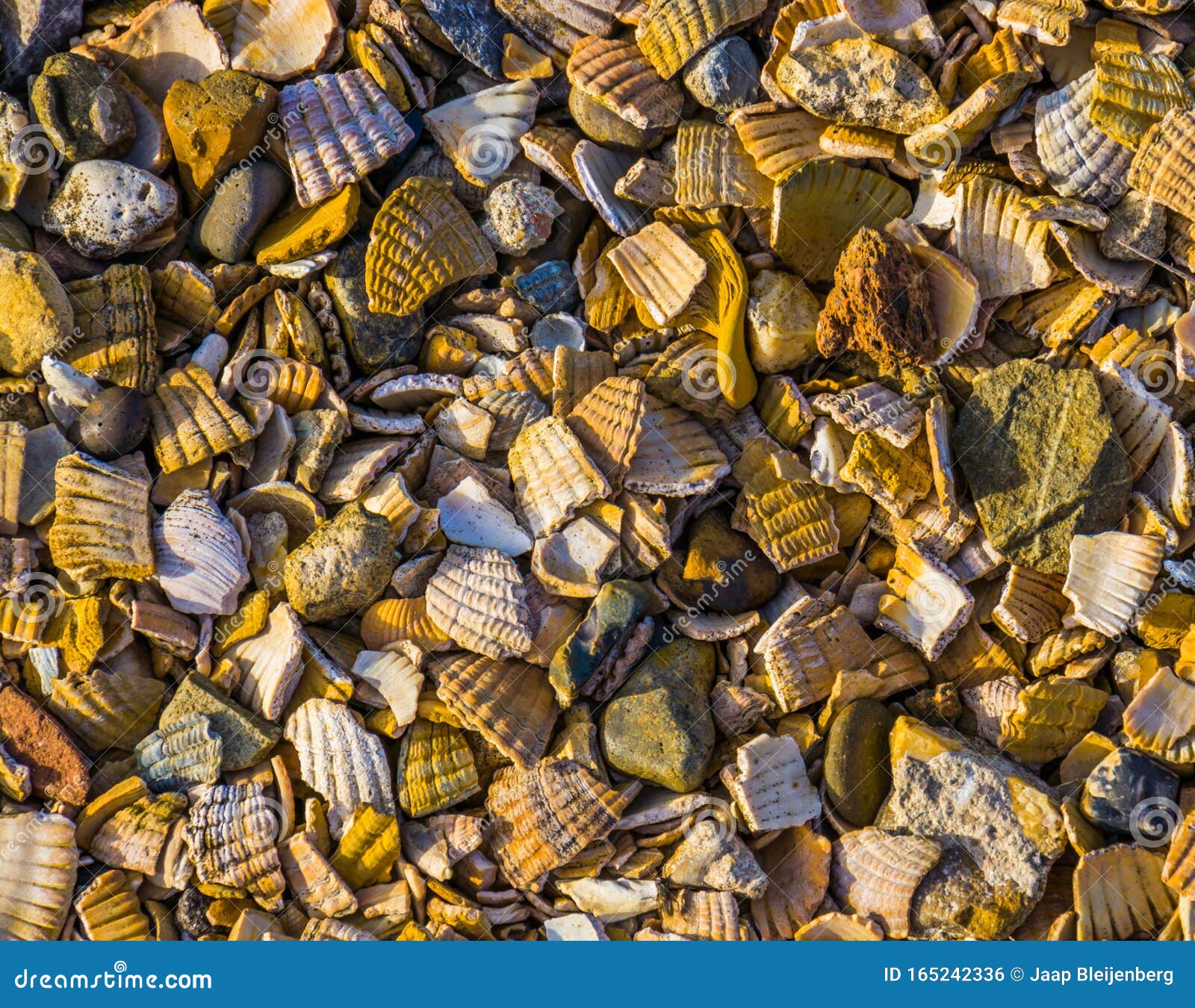 Pattern of Crushed Seashells and Rocks, Decorative Covering Material ...