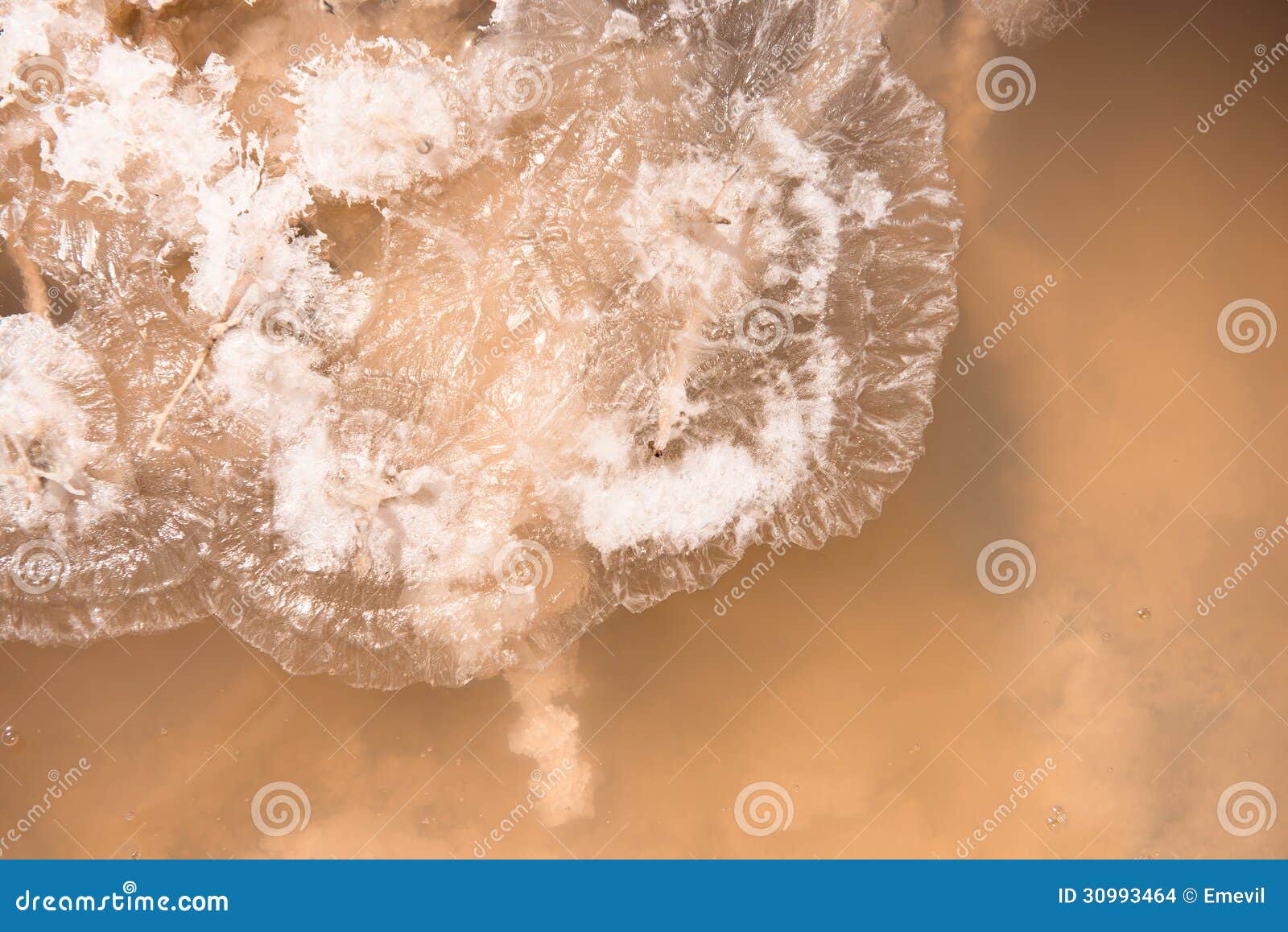 Pattern from the Crystals of Salt Stock Photo - Image of manmade ...