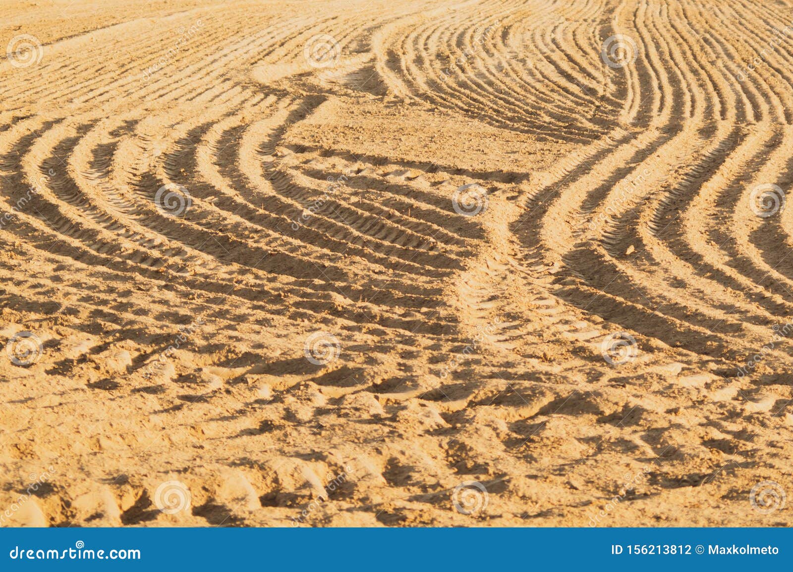 Pattern of Curved Ridges and Furrows on a Sandy Field. Traces on the ...