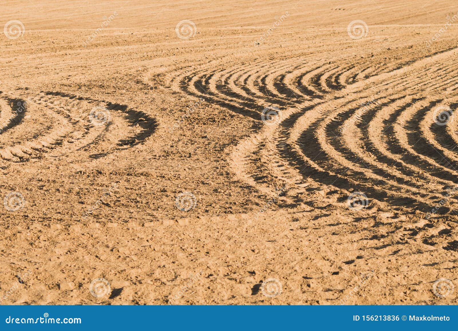 Pattern of Curved Ridges and Furrows on a Sandy Field. Traces on the ...