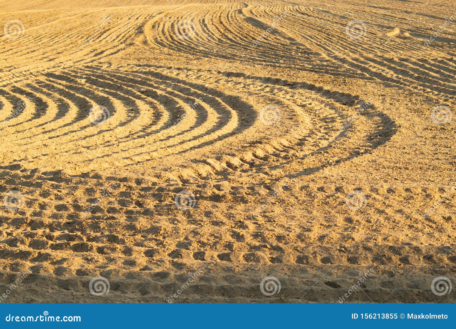 Pattern of Curved Ridges and Furrows on a Sandy Field. Traces on the ...