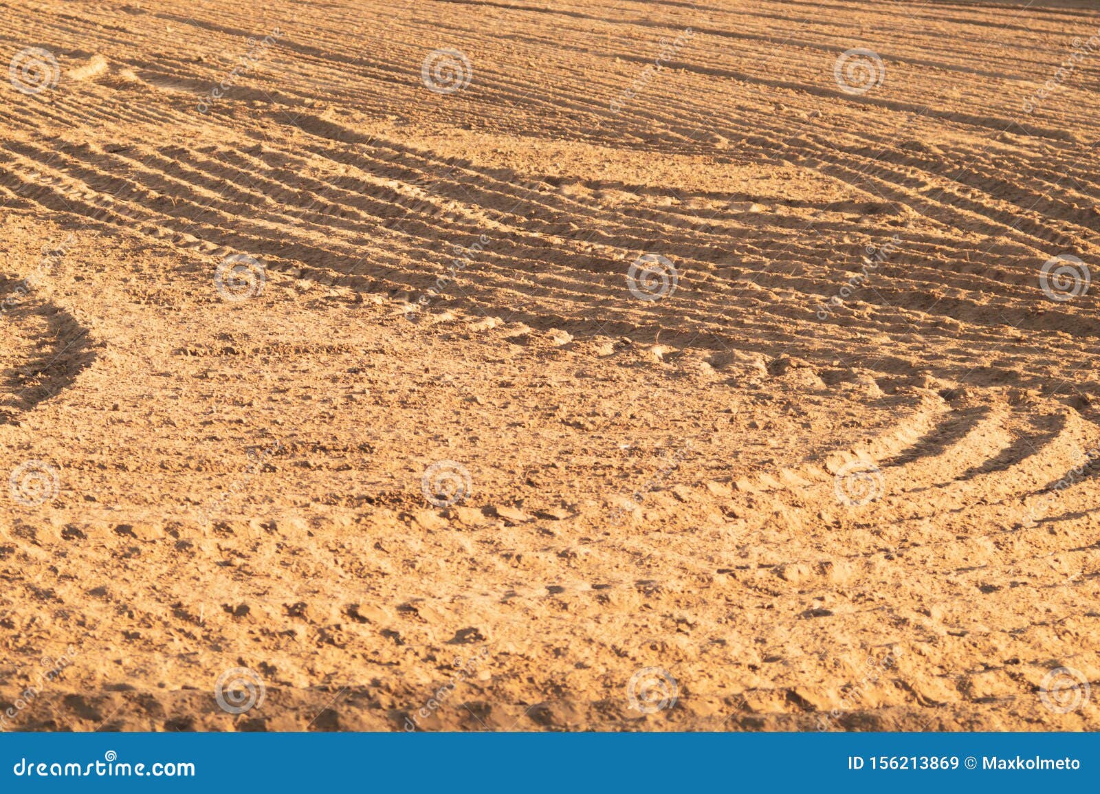 Pattern of Curved Ridges and Furrows on a Sandy Field. Traces on the ...