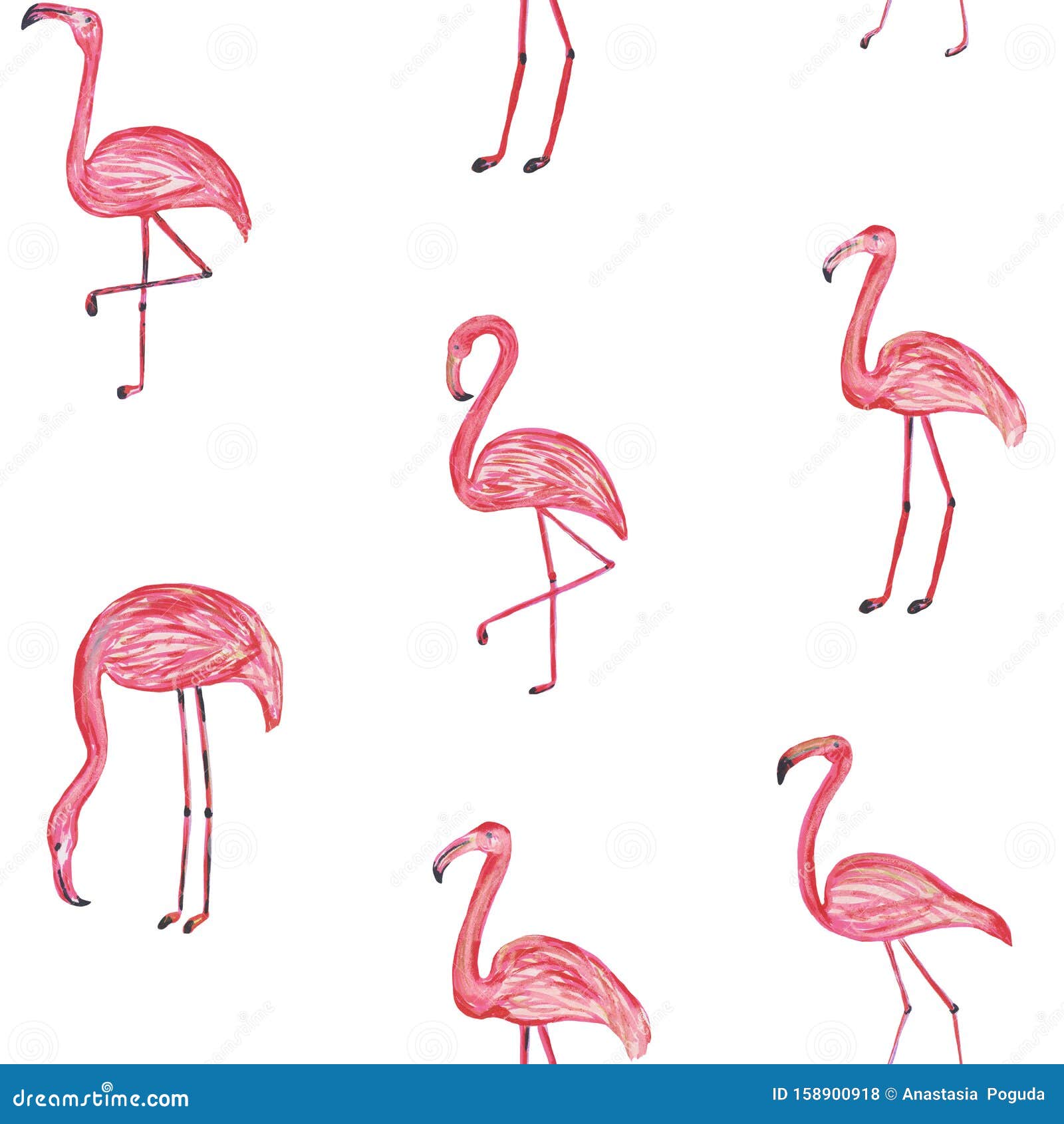 Pattern of Different Flamingos. Hand Drawing Illustration for Prints ...