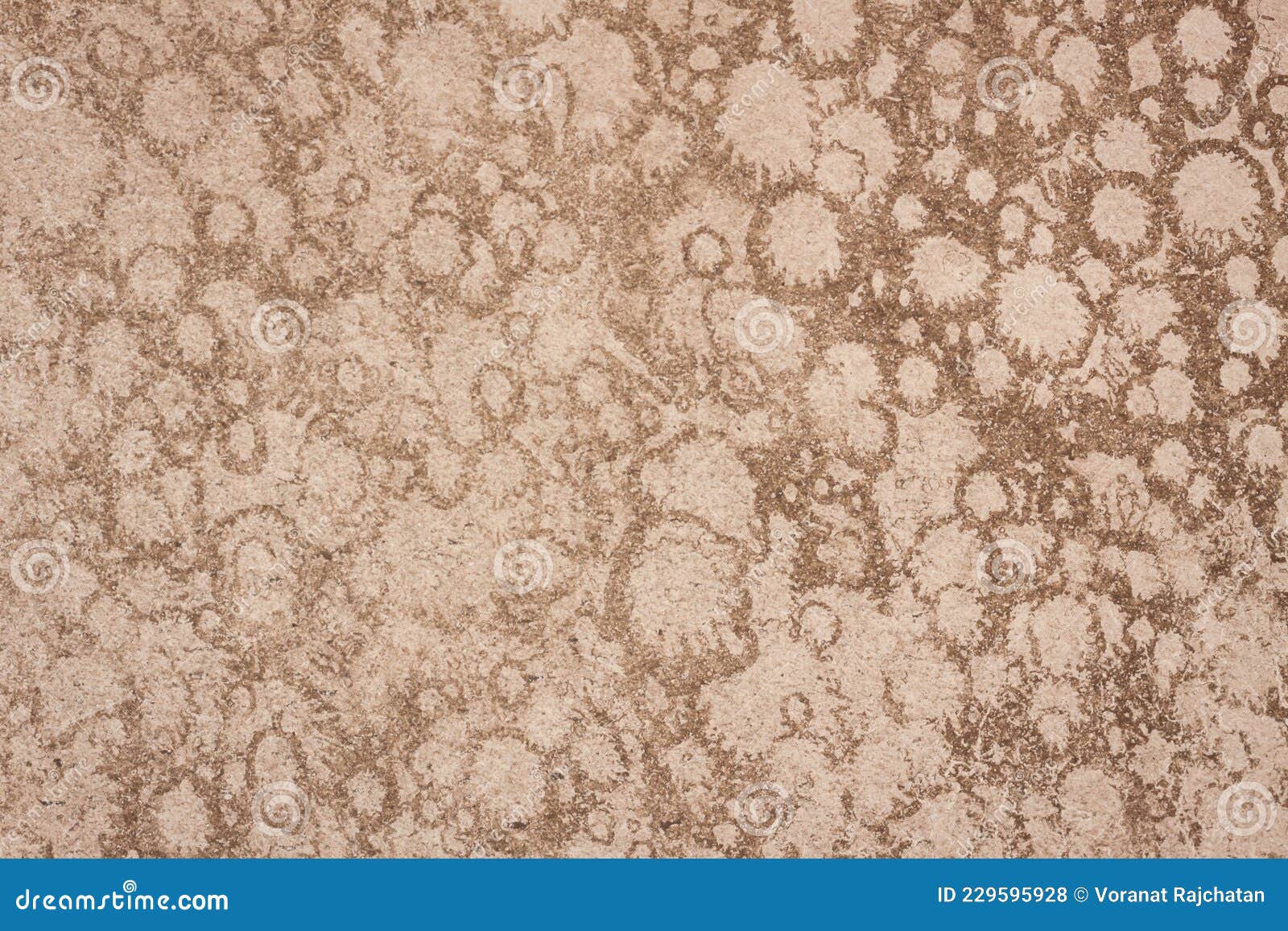 Pattern of the Dried Clay Texture on Wall , Close-up Stock Photo ...