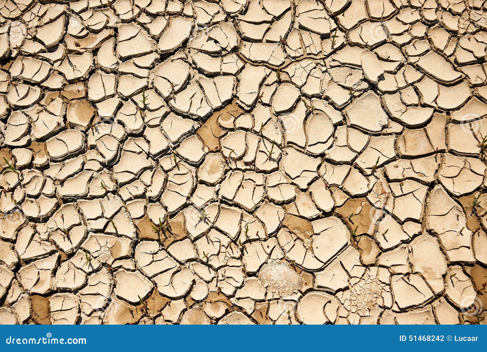 Pattern of dry ground stock photo. Image of change, background - 51468242