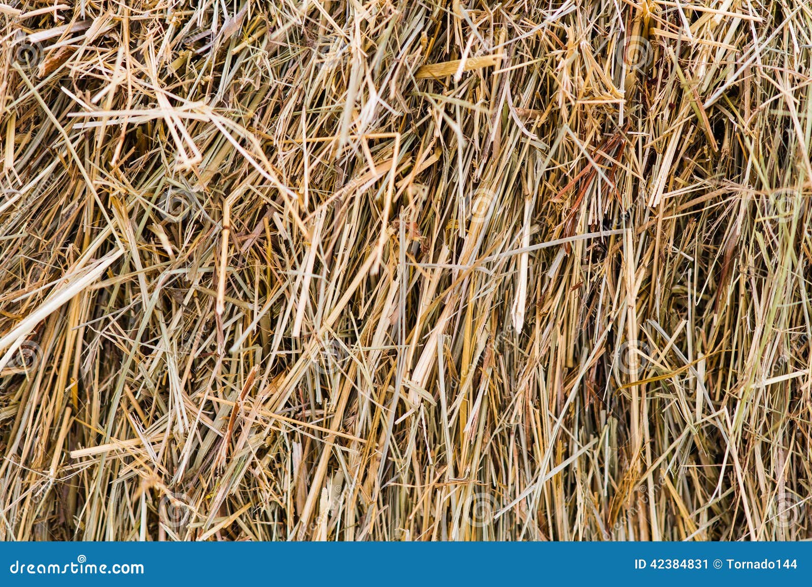 A Pattern of Dry Hay in Wintertime Stock Image - Image of harvesting ...
