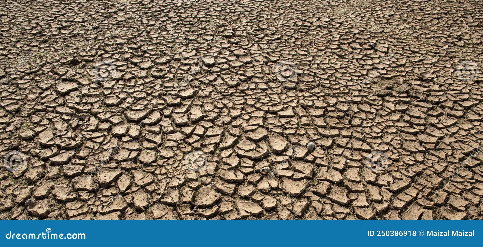 Earth/Ground Cracks stock photo. Image of clay, earthground - 250386918