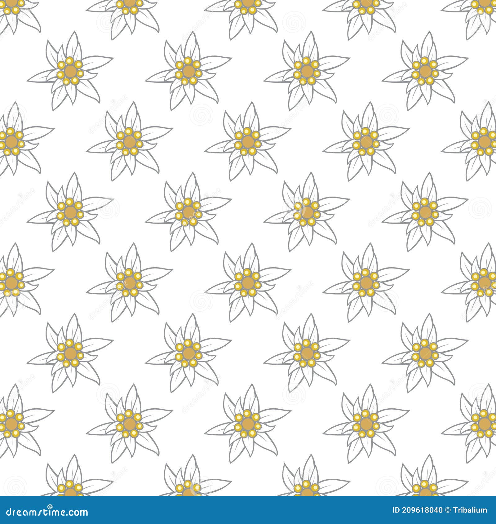 Pattern with Edelweiss Flowers Vector Illustration Stock Illustration ...