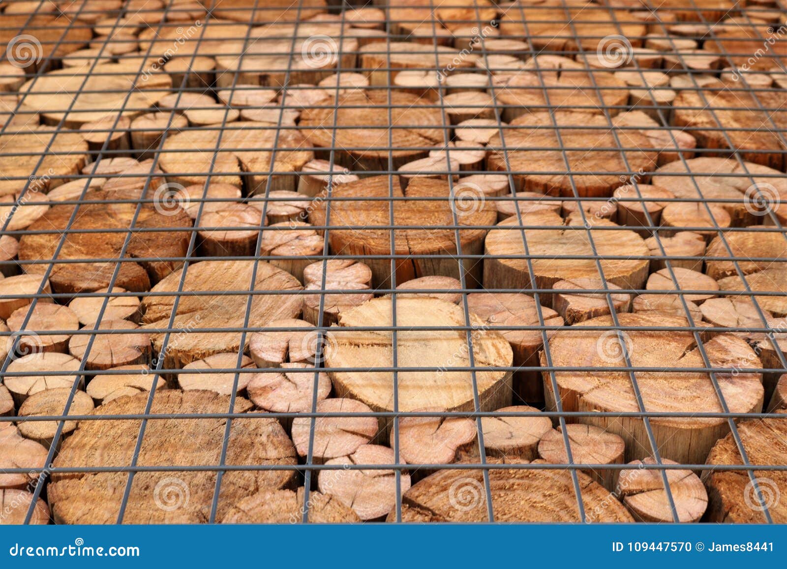 Circular Cross Section Of Gas Cylinder Regulator Stock Image ...