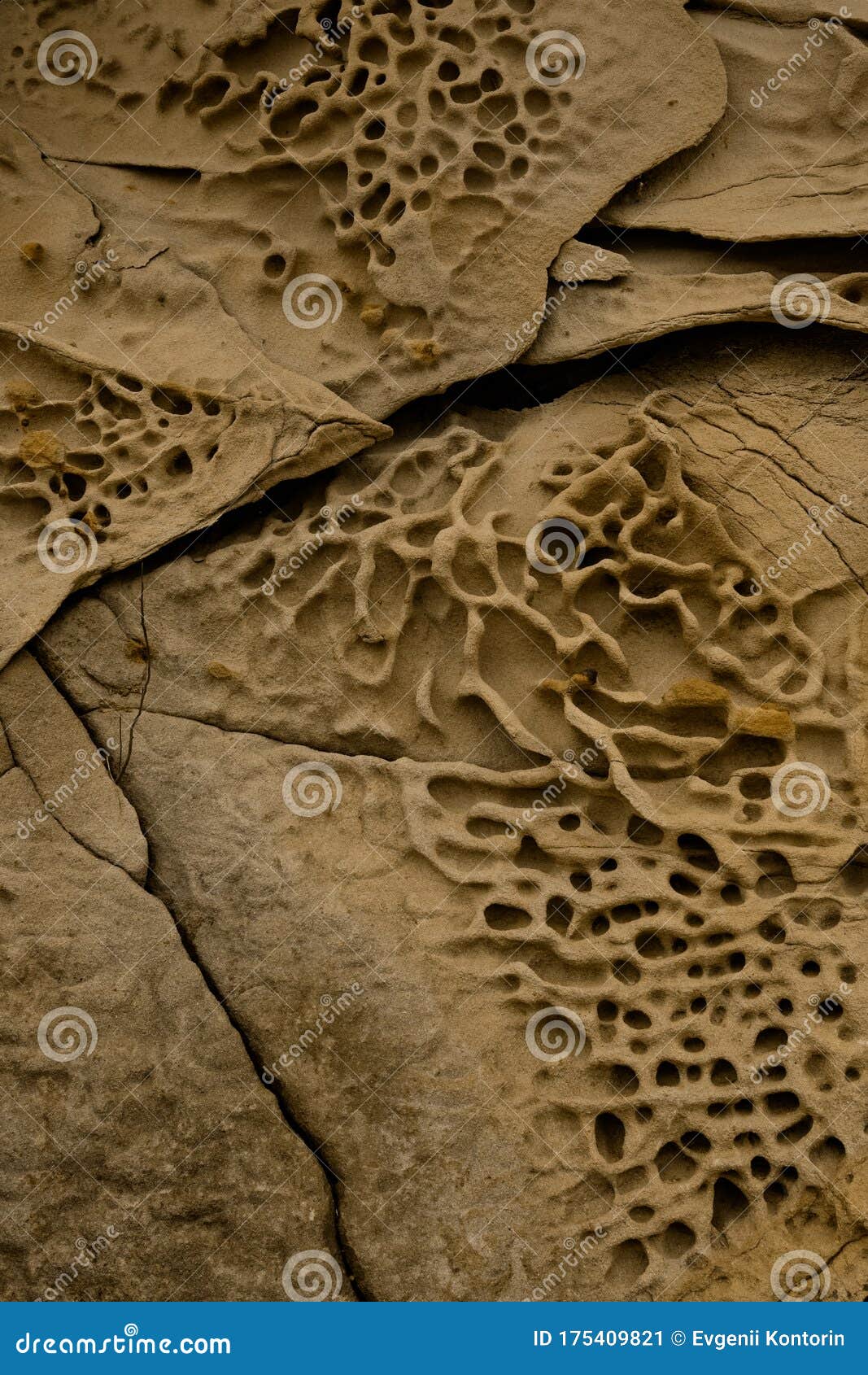 Pattern of Eroded Limestone in Cliff Face. Vertical Photo Stock Image ...