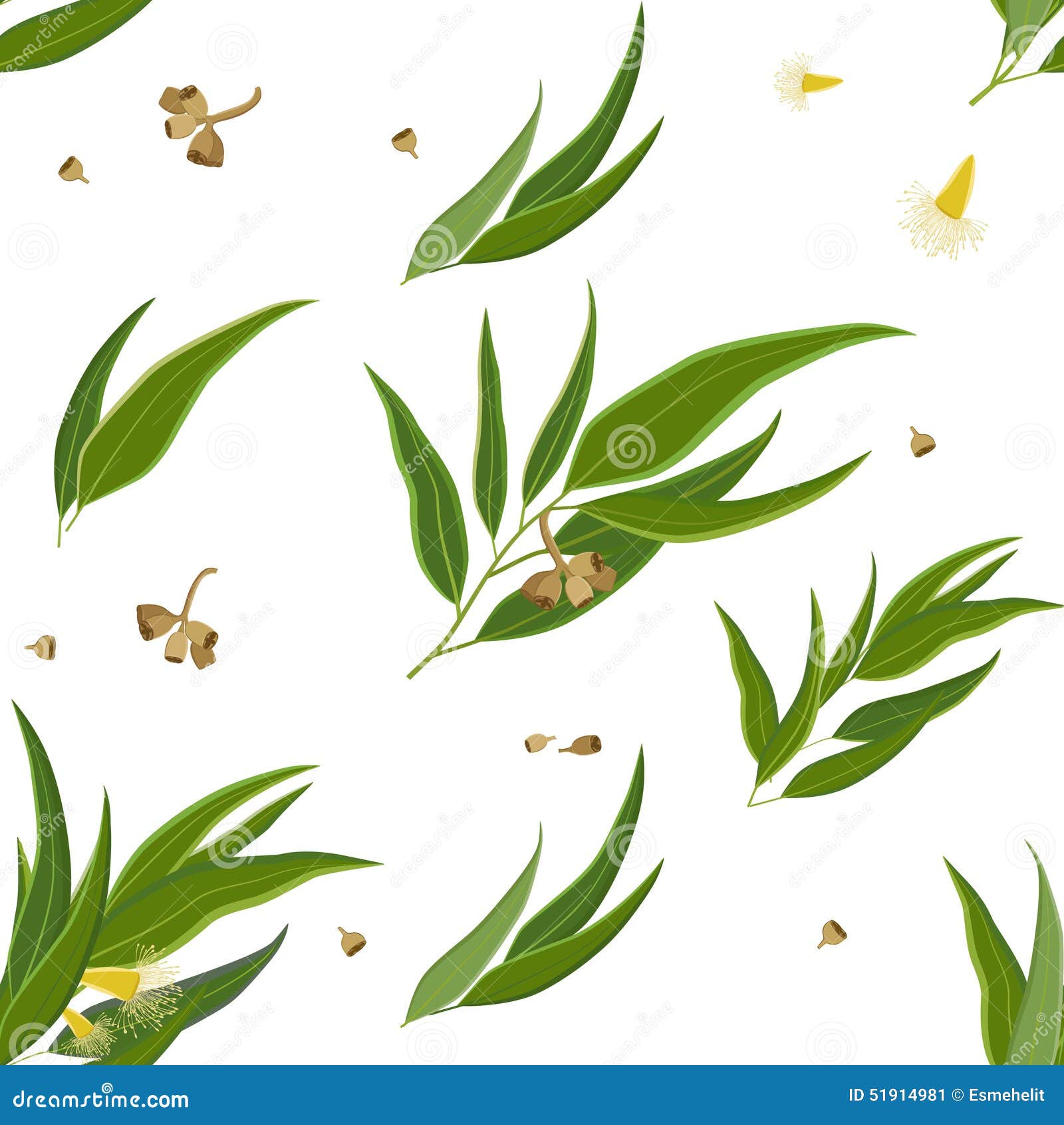 Pattern of Eucalyptus Leaves, Flowers and Seeds Stock Vector ...