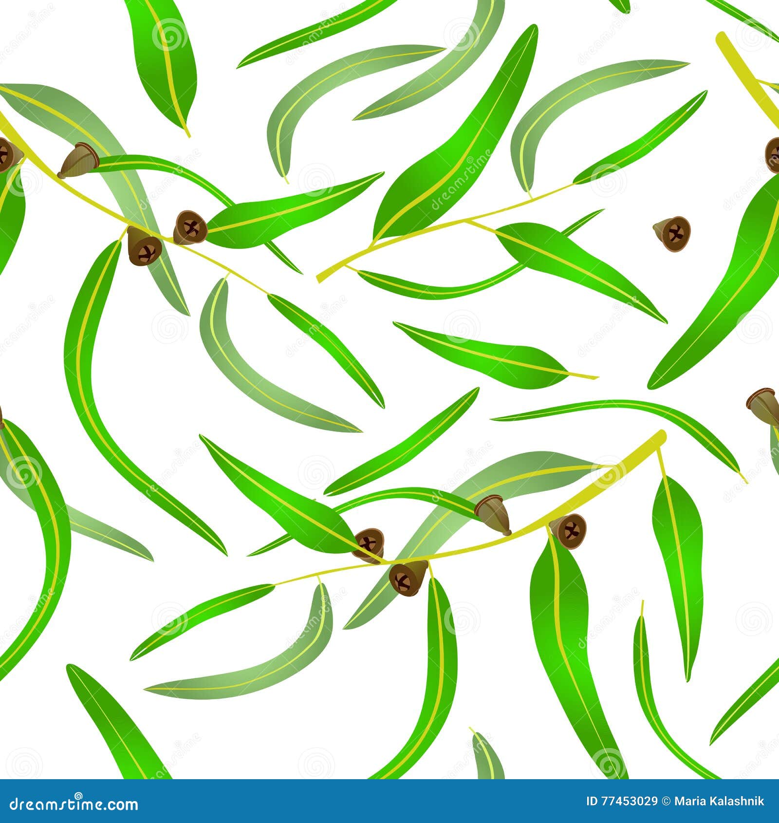 Pattern Eucalyptus Leaves and Seeds Stock Vector - Illustration of ...