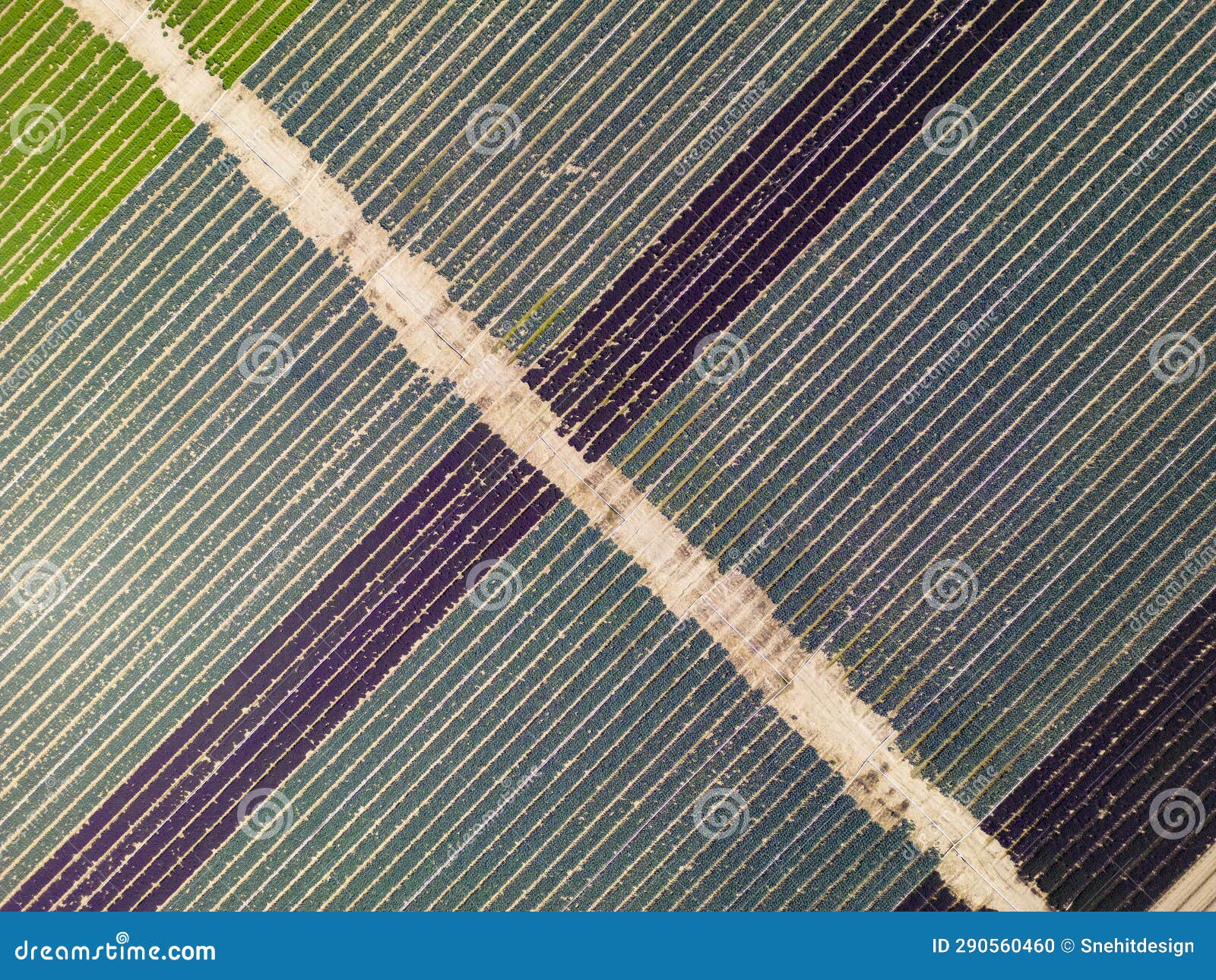 Pattern of Fields Top Down View at Bakersfield, California Stock Photo ...