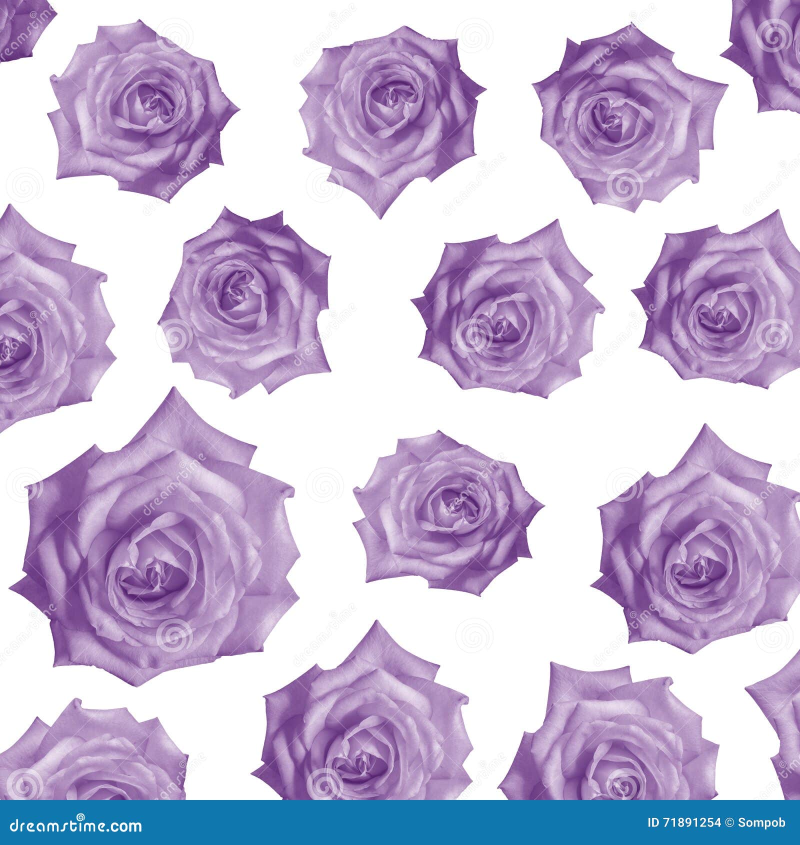 Pattern Flower, Rose Flower Print in Soft Colors Made from Fabric Stock ...