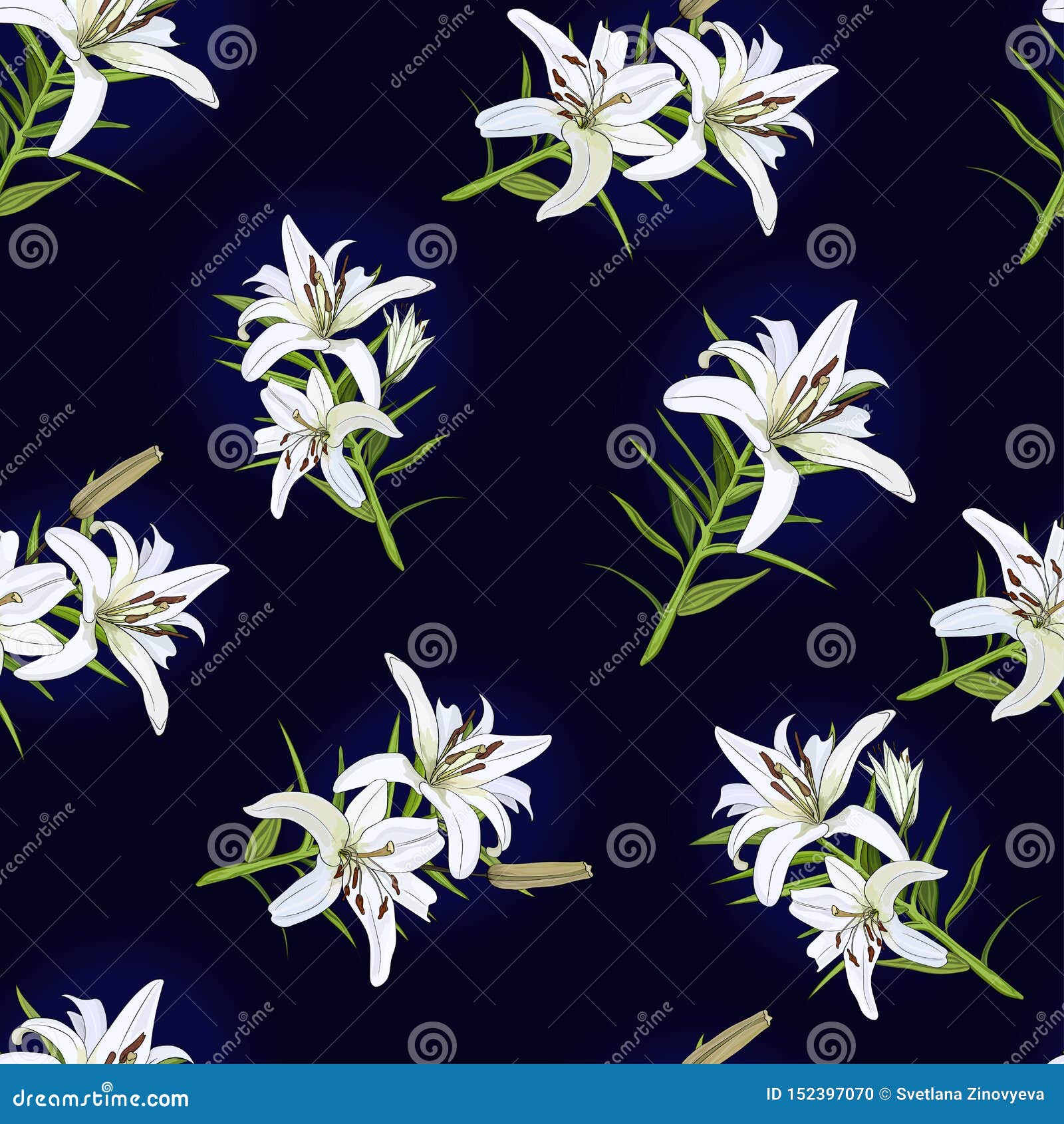 Pattern with Flowers of White Lily on a Blue Background. Vector Stock ...