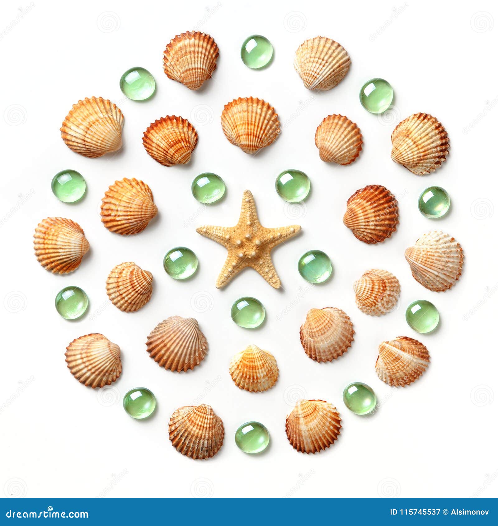 Pattern in the Form of a Circle Made of Shells, Starfish and Green ...