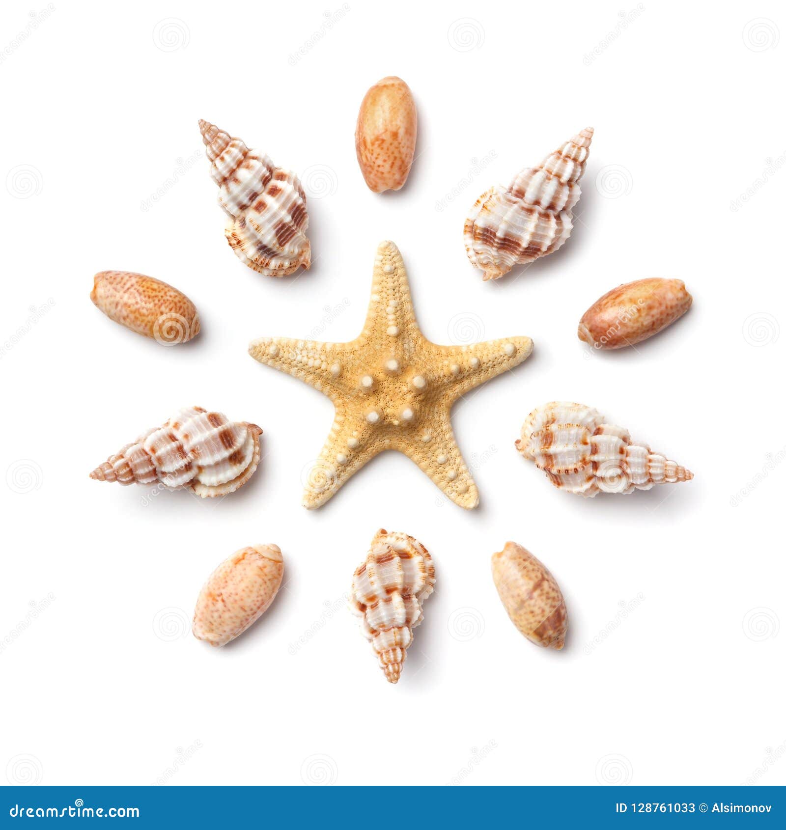 Pattern in the Form of a Circle of Sea Shells and Starfish Isolated on ...