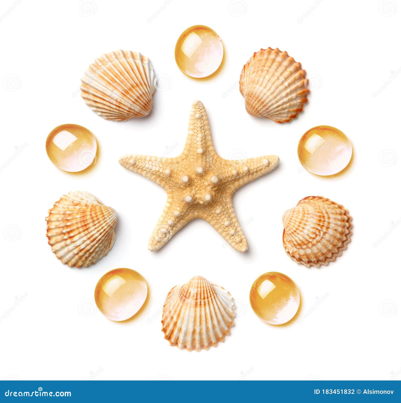 Pattern in the Form of a Circle of Sea Shells and Starfish Isolated on ...
