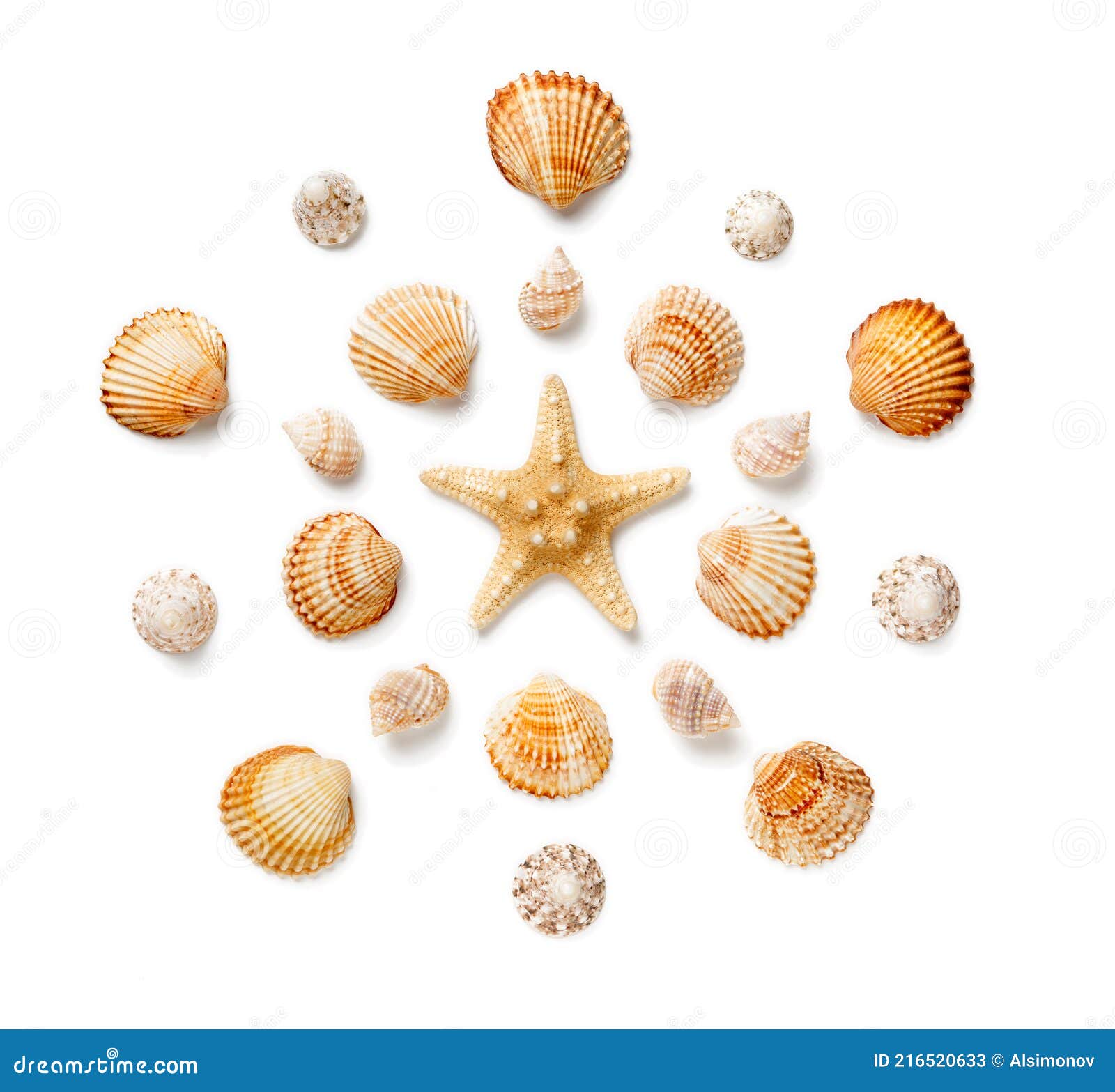 Pattern in the Form of a Circle of Sea Shells and Starfish Isolated on ...