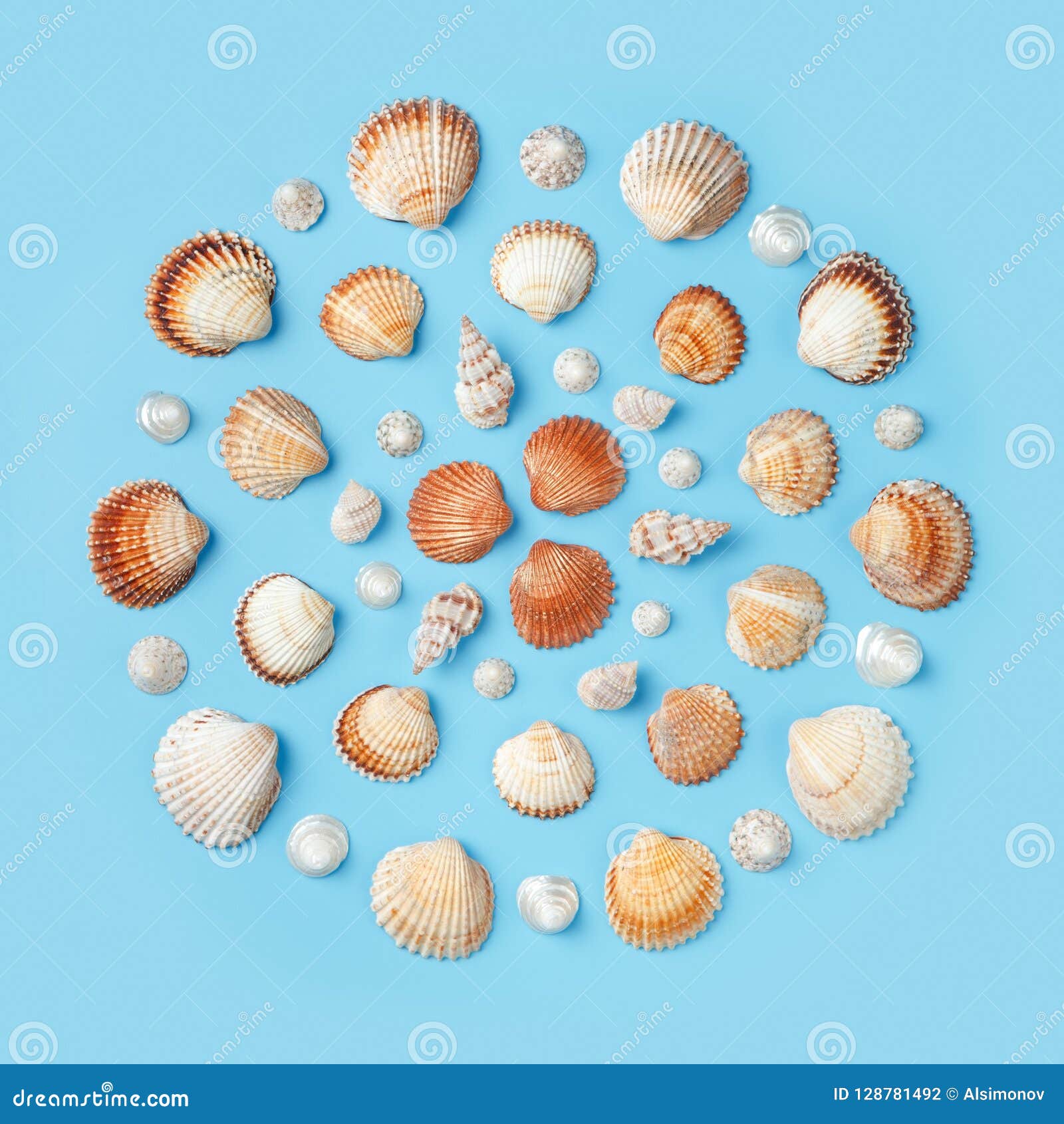 Pattern in the Form of a Circle of Shells on a Light Blue Background ...