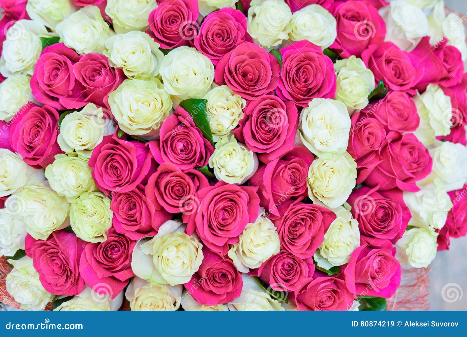 Pattern of Fresh Colorful Roses Stock Image - Image of floral, bunch ...