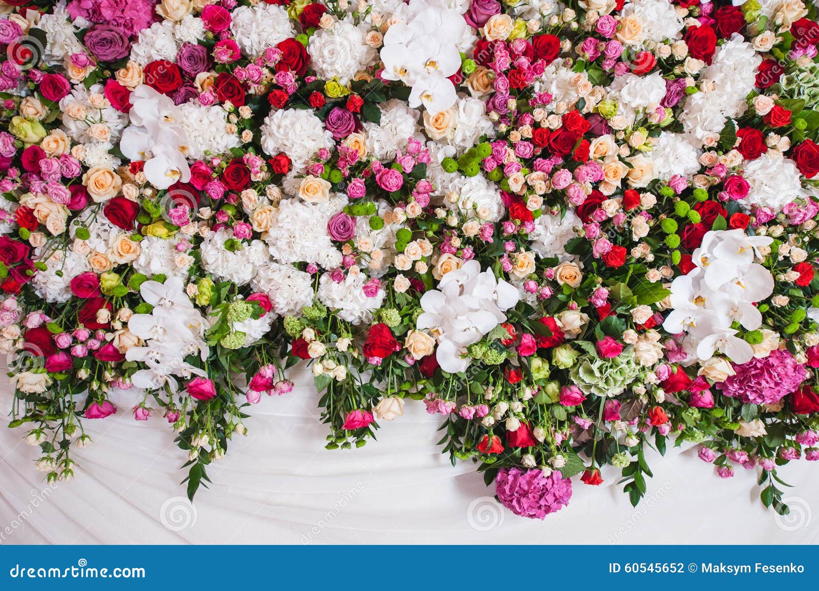 Pattern of Fresh Colorful Roses and Orchids Stock Photo - Image of ...