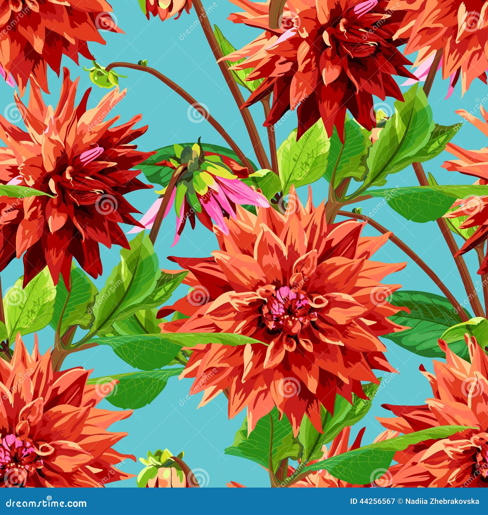 Pattern of Georgina Flowers with Leaves Stock Vector - Illustration of ...