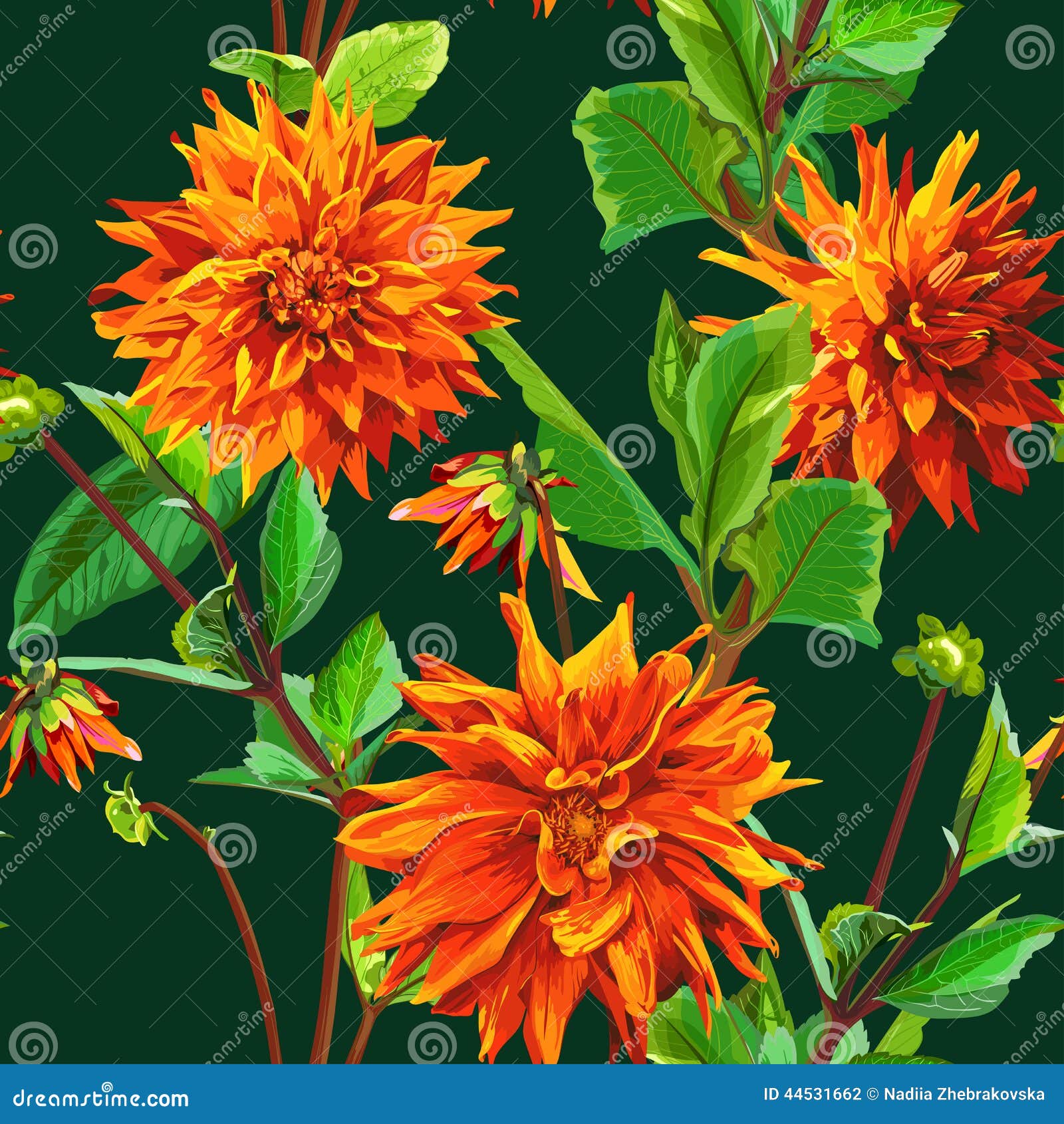 Pattern of Georgina Flowers with Leaves 3 Stock Illustration ...