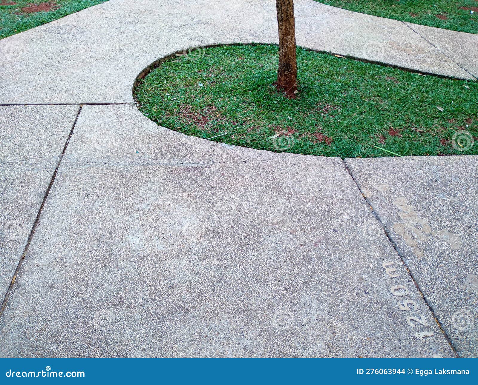 Pattern of Grass and Concrete Floor at City Park Stock Photo - Image of ...