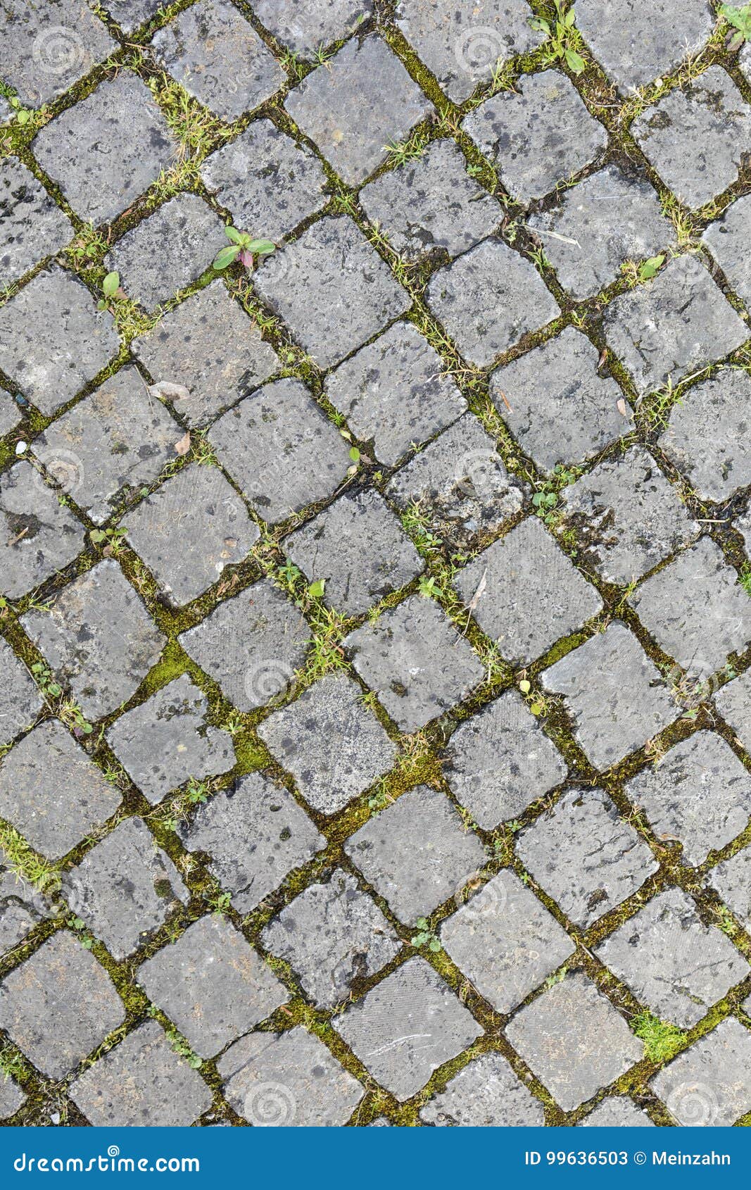 Pattern of Grey Cobble Stones Stock Image - Image of stones, cobble ...