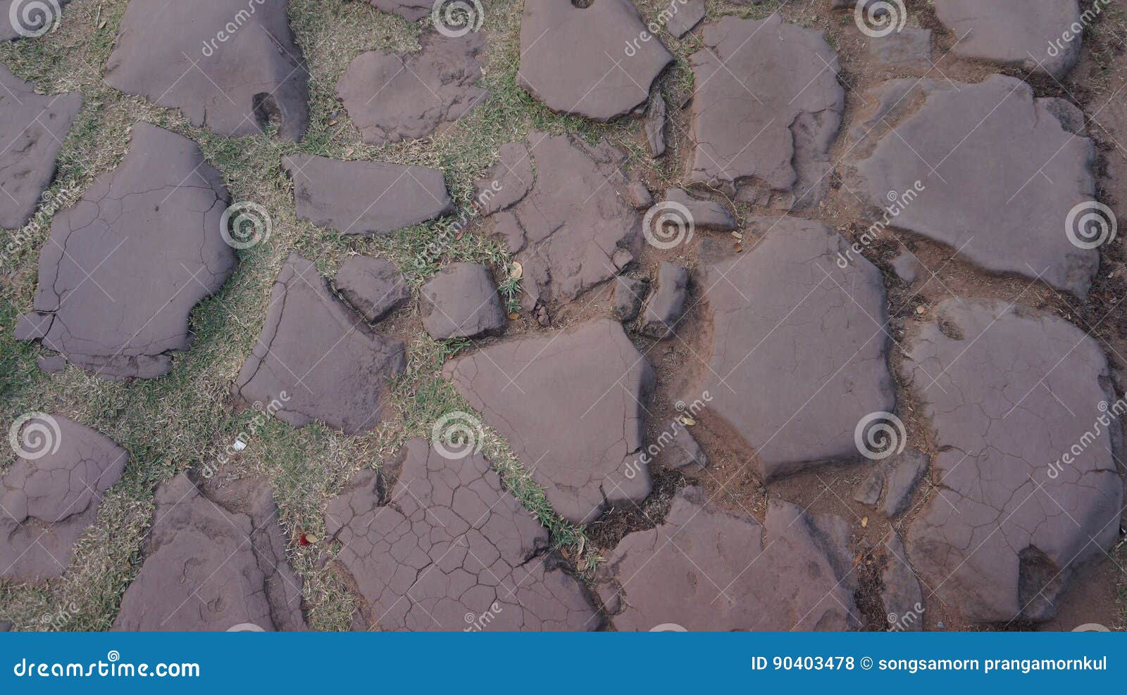 Pattern ground stock photo. Image of grass, travel, brown - 90403478
