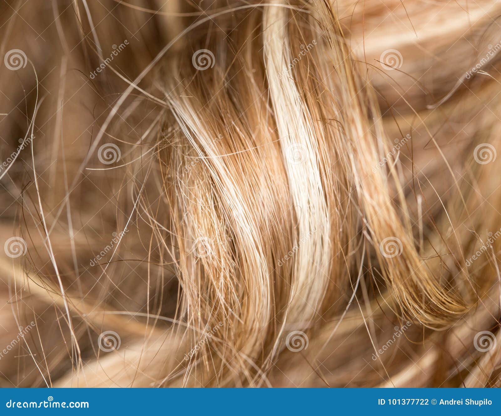 Pattern of hair stock photo. Image of bright, long, care - 101377722