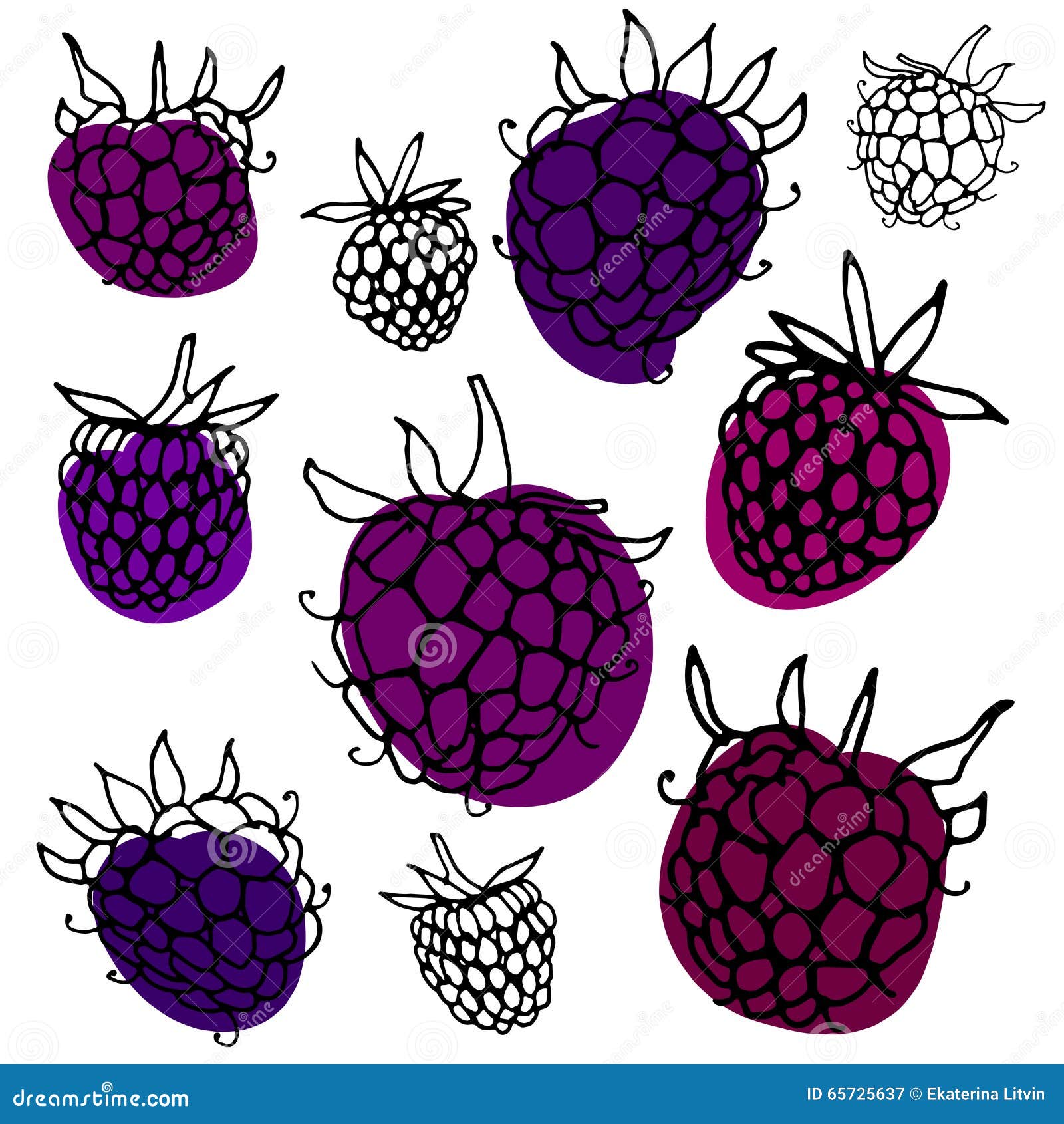 Pattern with Hand Drawn Blackberry. Stock Vector - Illustration of ...