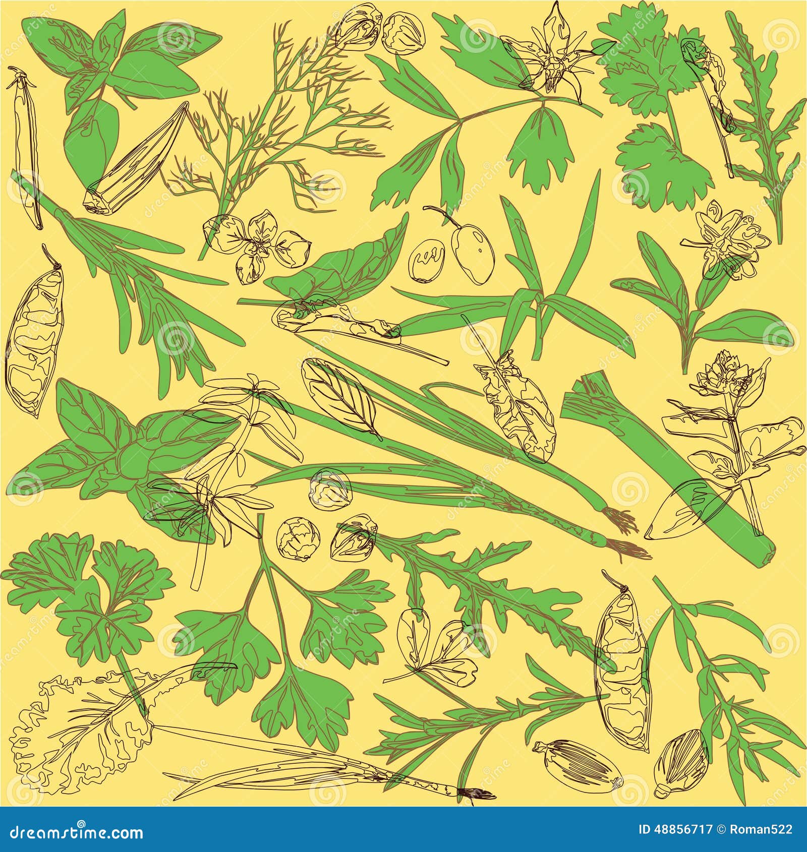 Pattern with herbs stock vector. Illustration of onions - 48856717