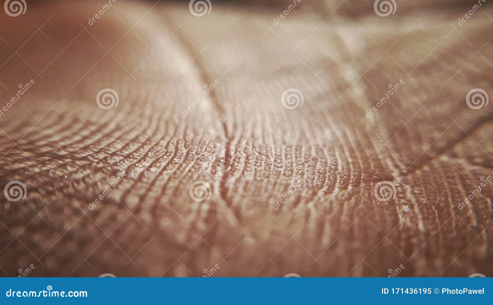 Pattern of Human Dark Skin with Cells and Lines Stock Image - Image of ...