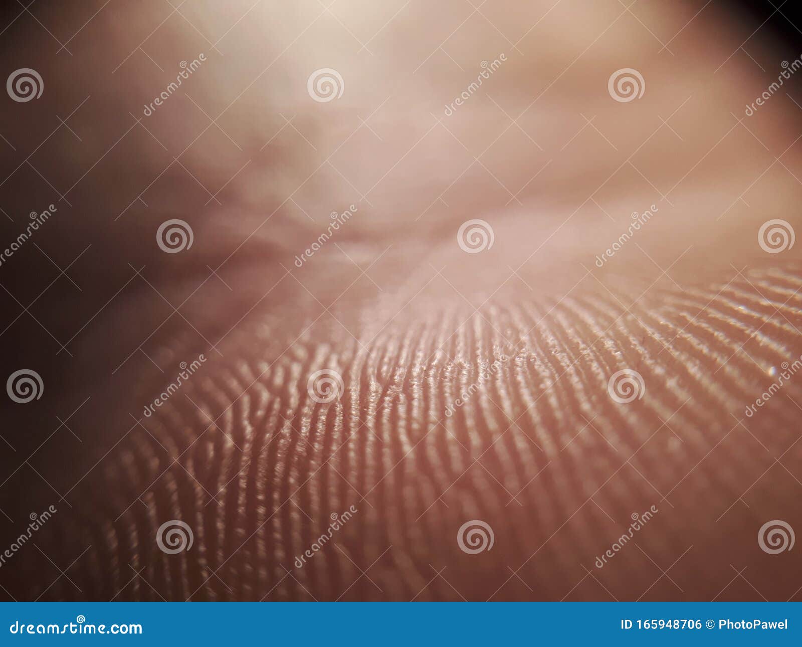 Pattern of Human Dark Skin with Cells and Lines Stock Photo - Image of ...