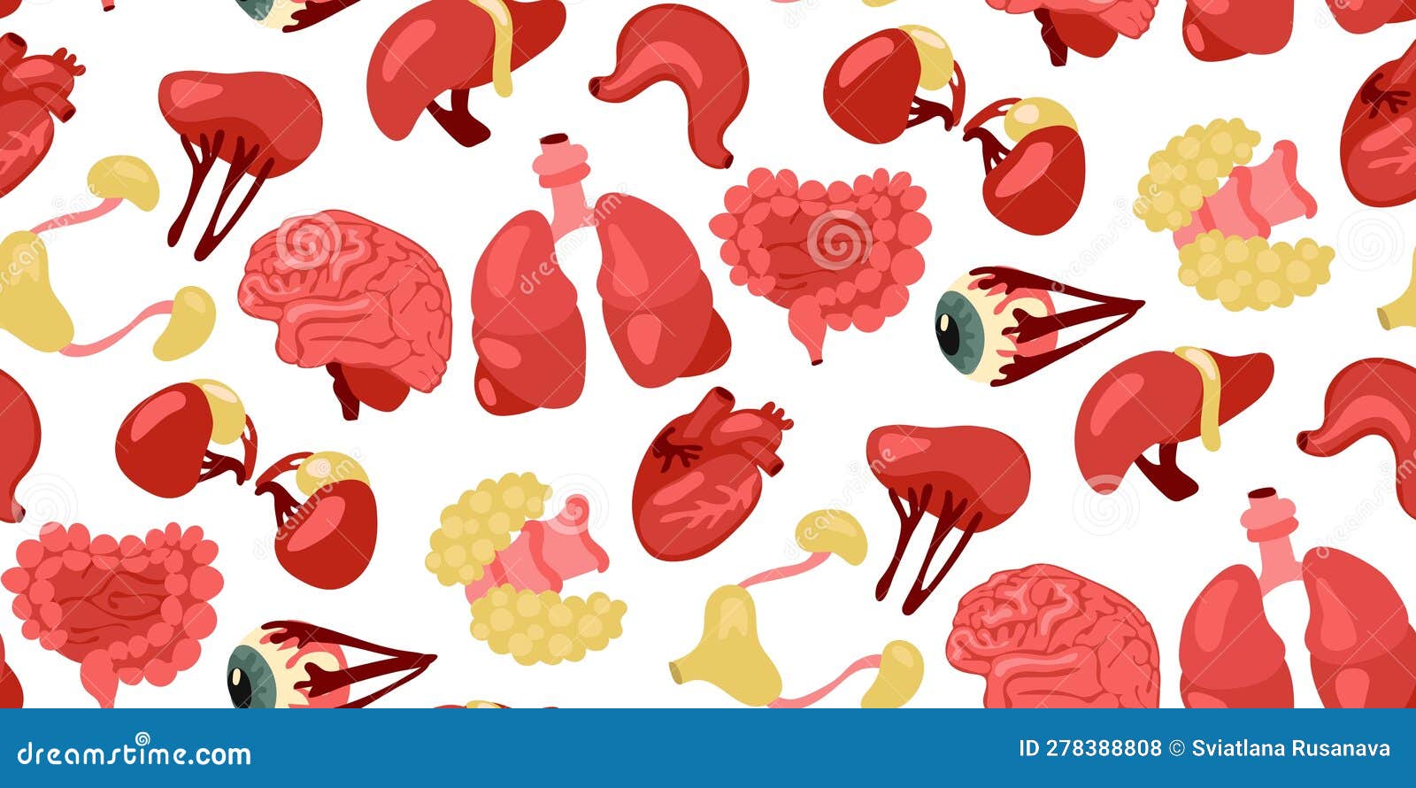 A Pattern of Human Internal Organs for Operations and Transplantation ...