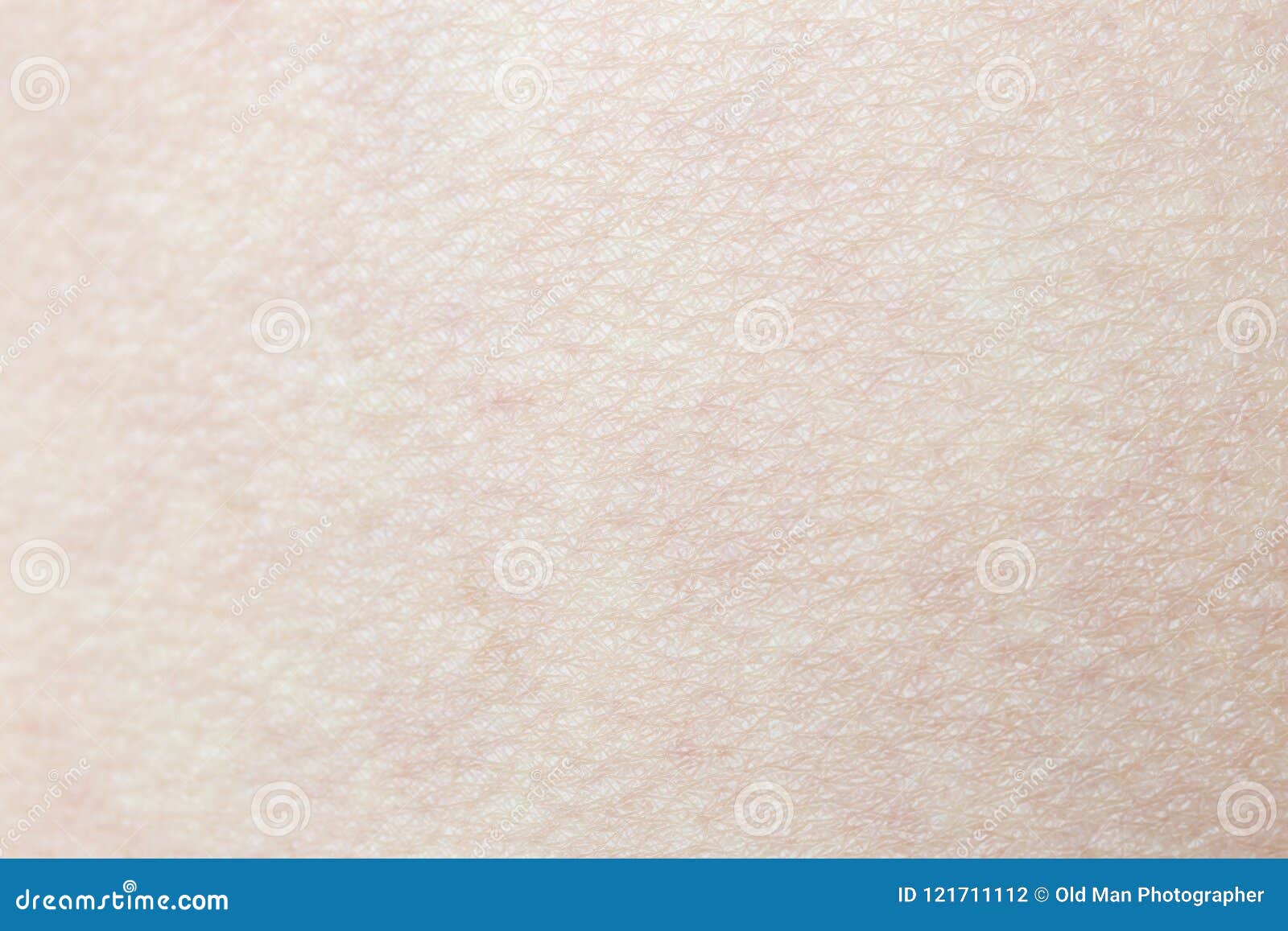 Pattern of Human Skin with Cells and Lines Texture. Stock Photo - Image ...