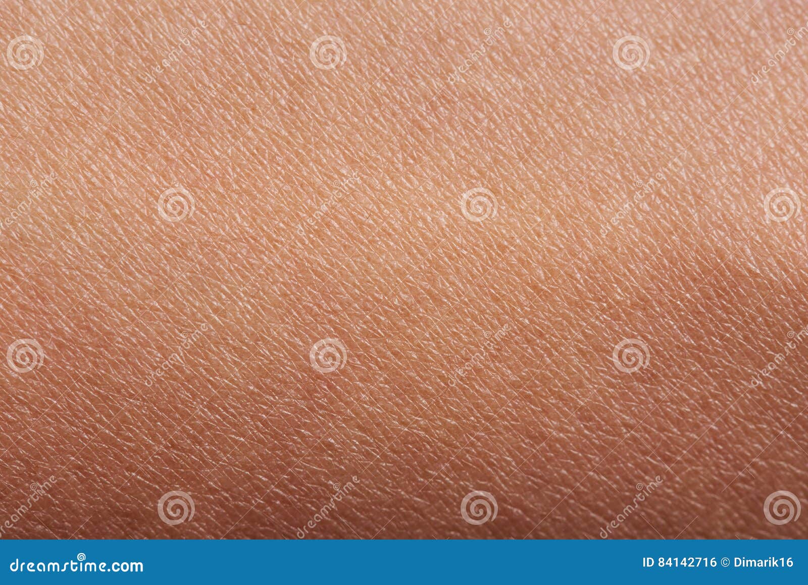 Pattern of human skin stock photo. Image of detailed - 84142716