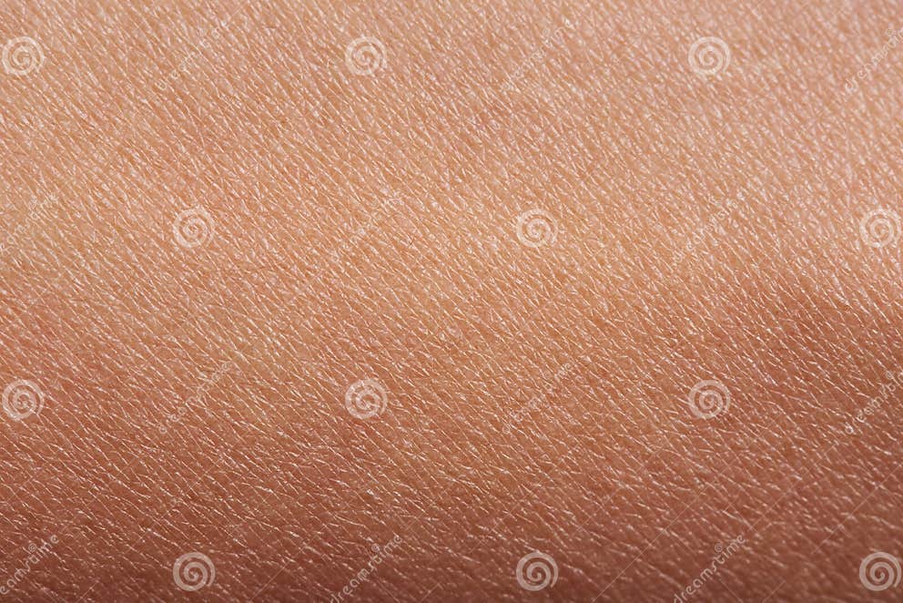Pattern of human skin stock photo. Image of detailed - 84142716