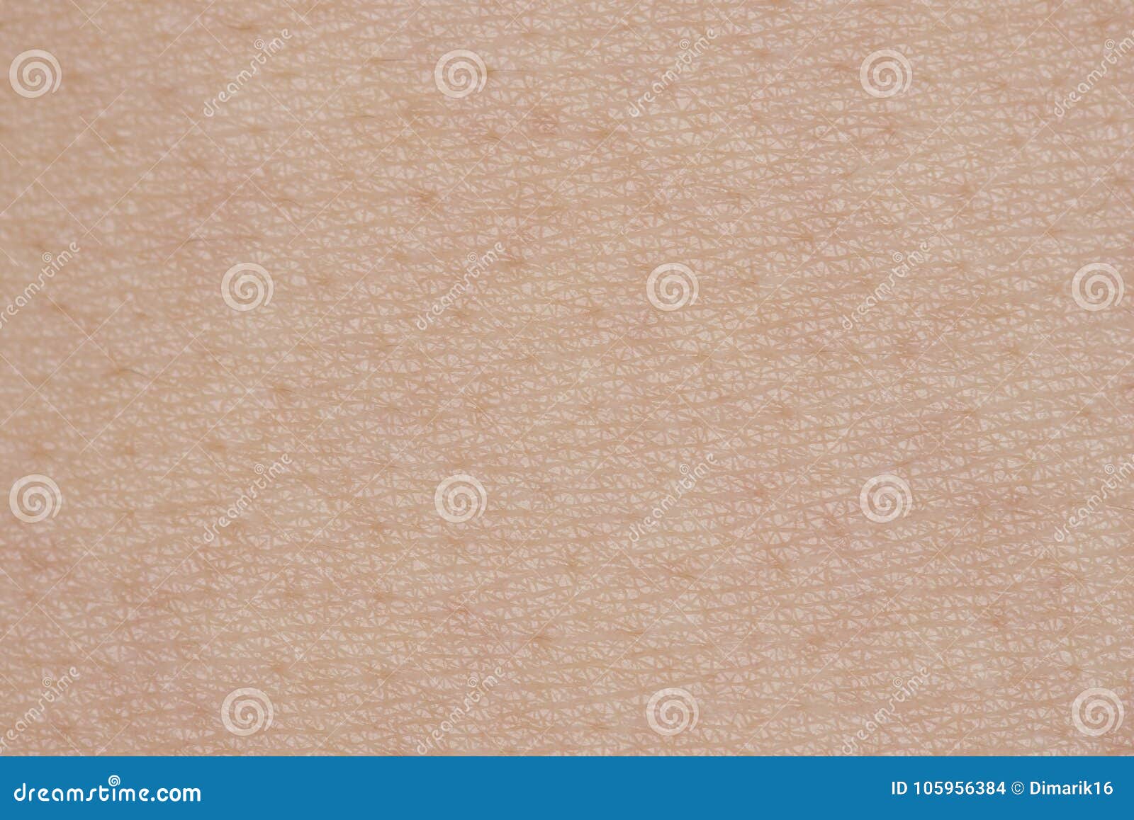 Pattern of human skin stock photo. Image of health, detailed - 105956384