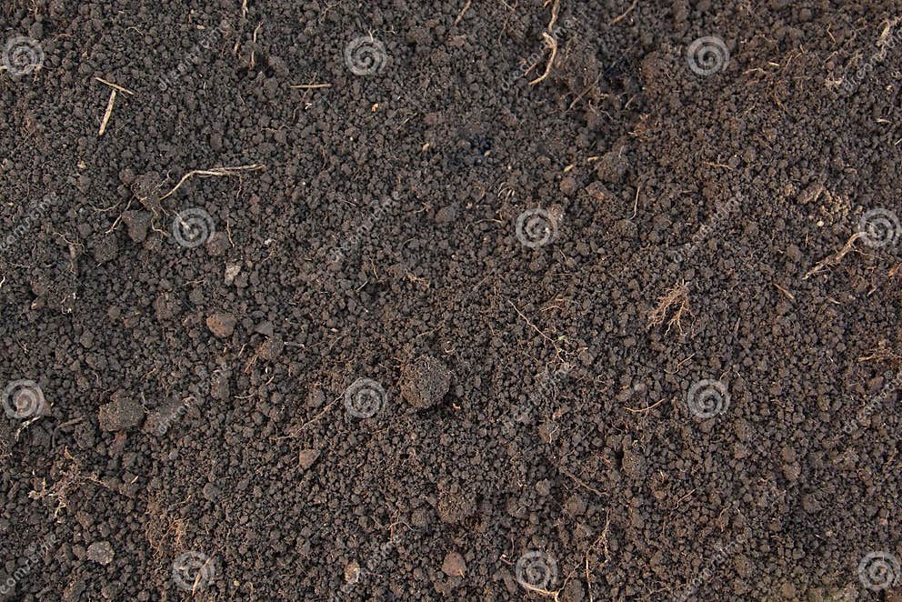 Pattern of humus soil stock photo. Image of agriculture - 16451510